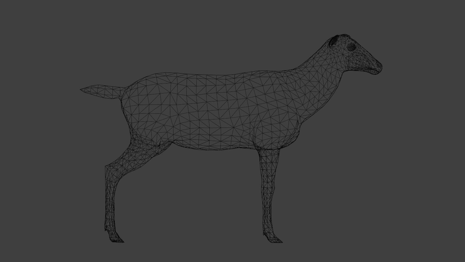 Realistic Animated Deer 3D Model by WildMesh 3D