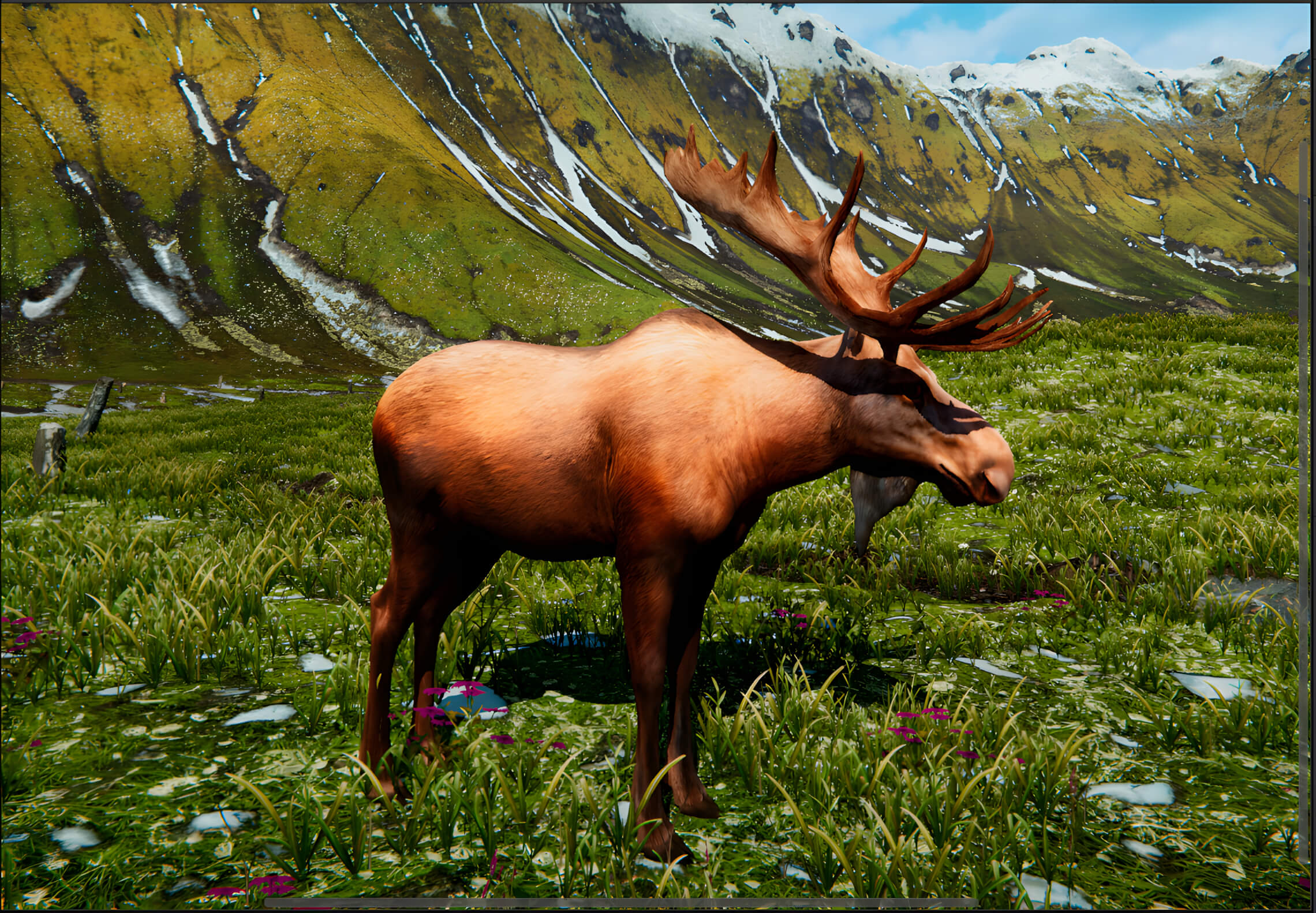 Realistic Animated Moose 3D Model by WildMesh 3D