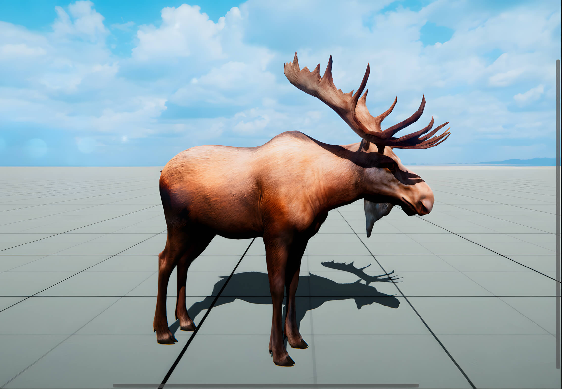 Realistic Animated Moose 3D Model by WildMesh 3D