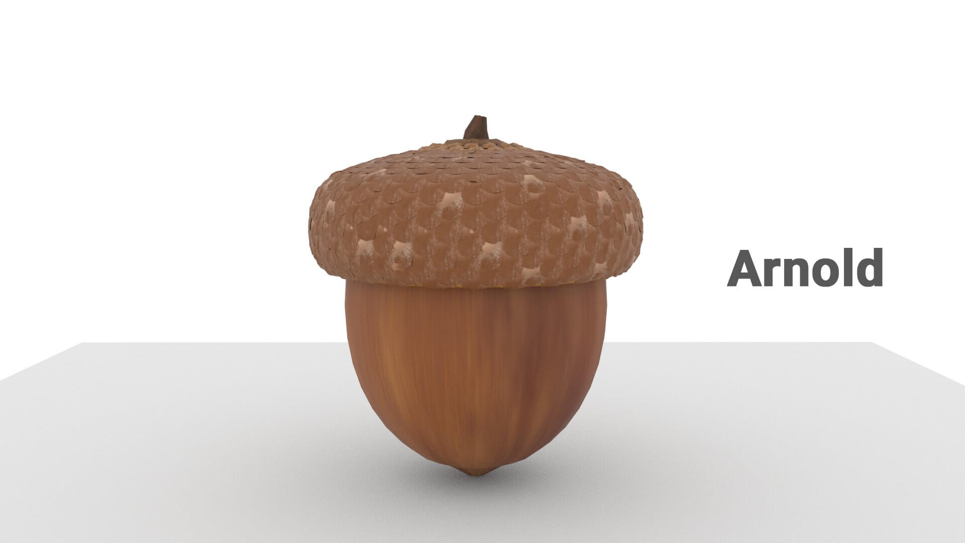 Acorn - 3D Model by WilliamJ