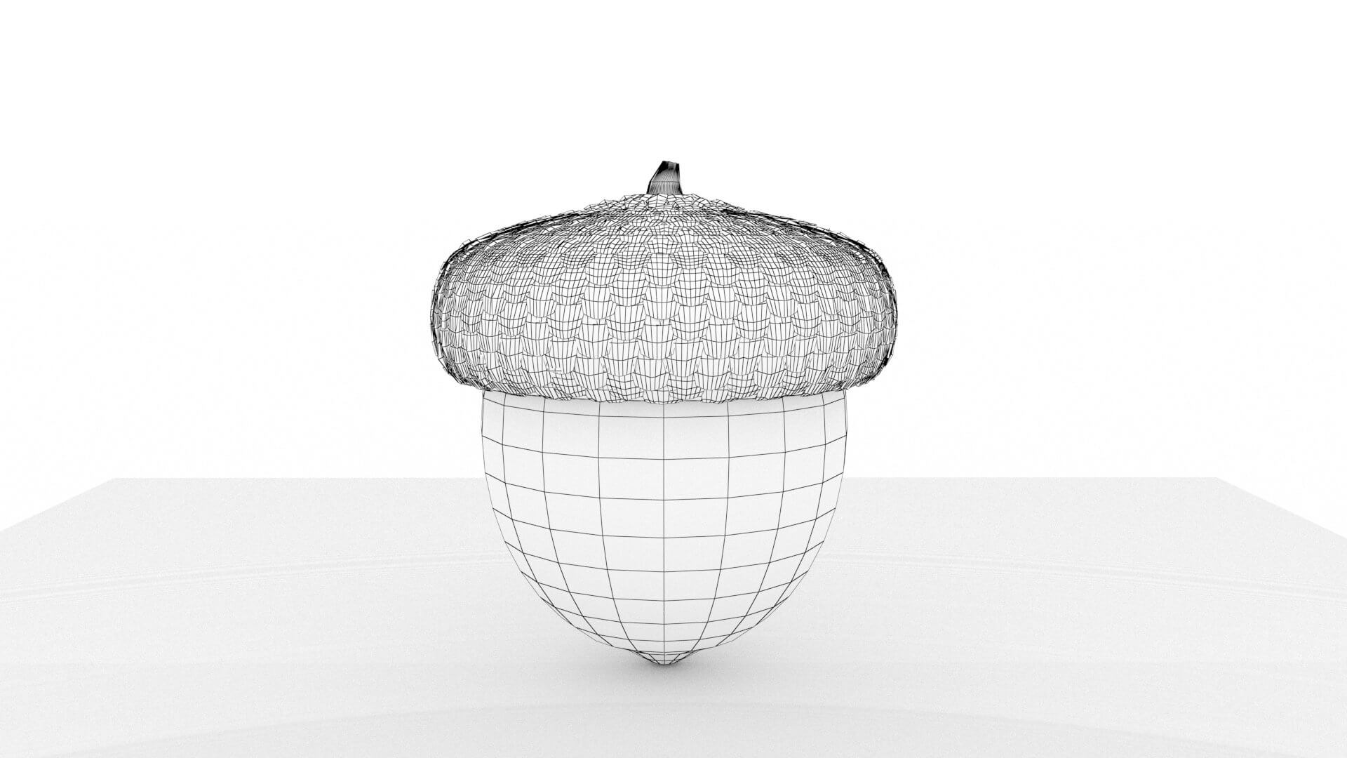 Acorn - 3D Model by WilliamJ