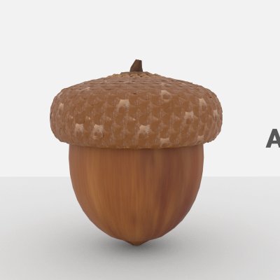 Acorn - 3D Model by WilliamJ