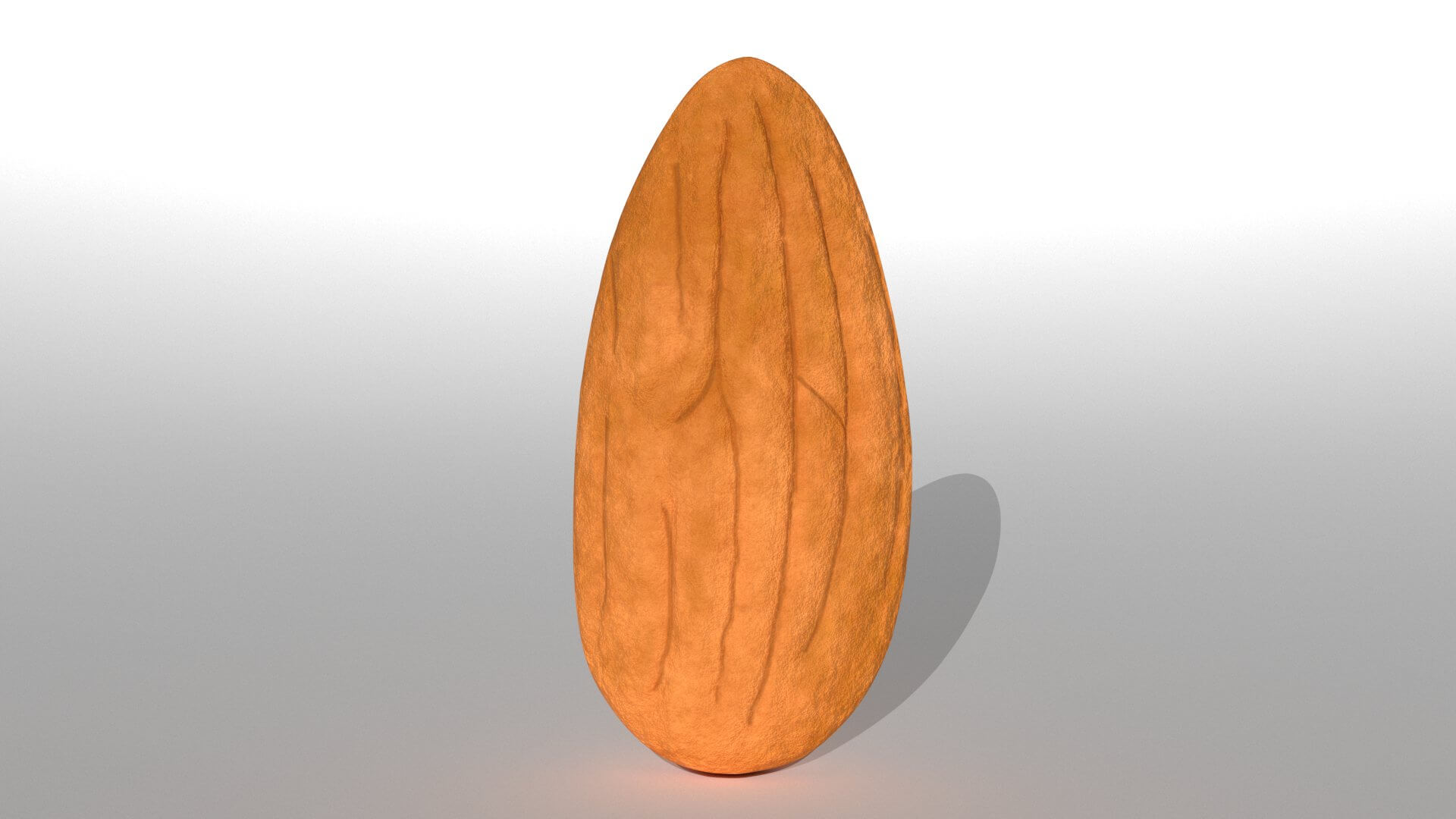 Almond - 3D Model by WilliamJ