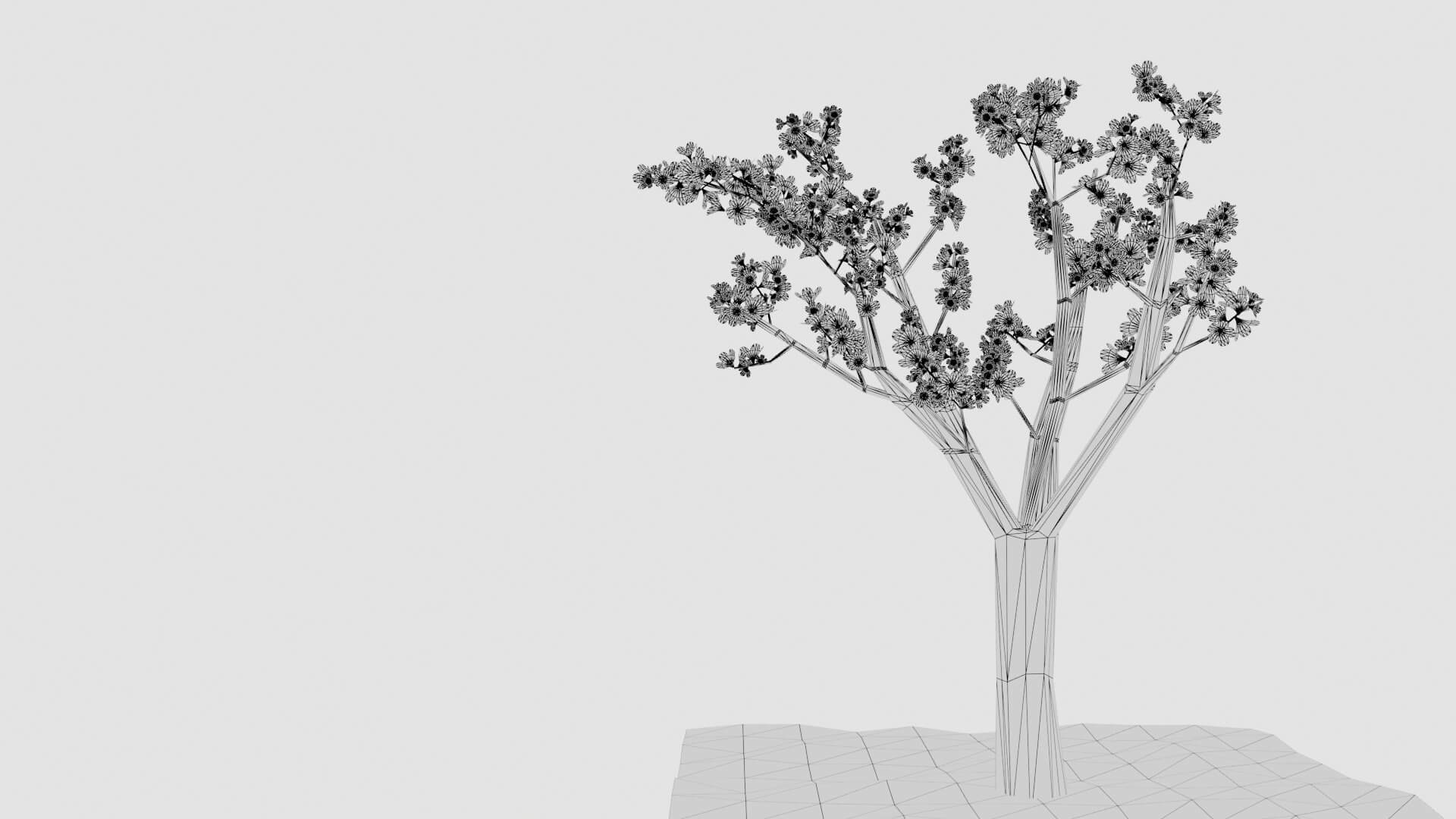 Cherry Blossom - 3D Model by WilliamJ