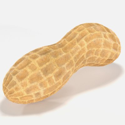Peanut - 3D Model by WilliamJ