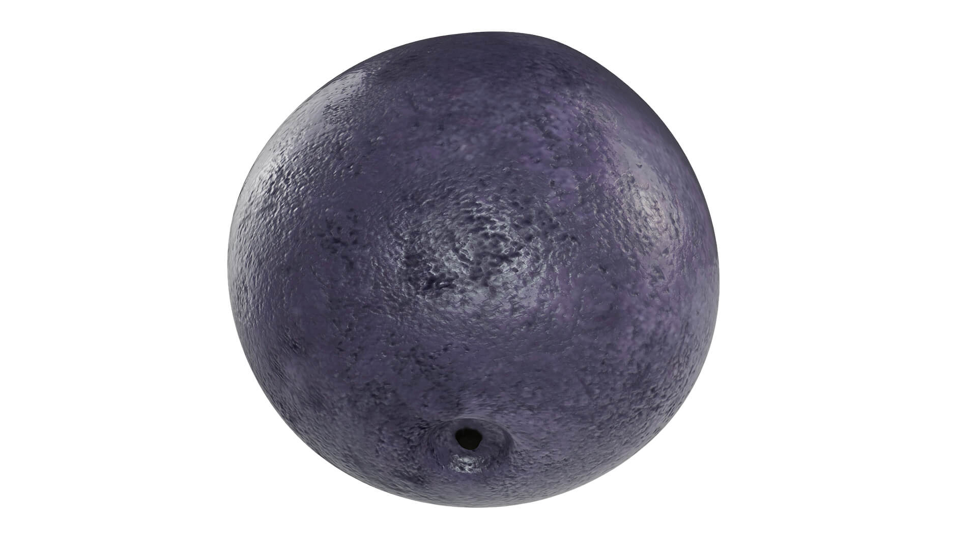 Blueberry 3D Model by Xandra Fox