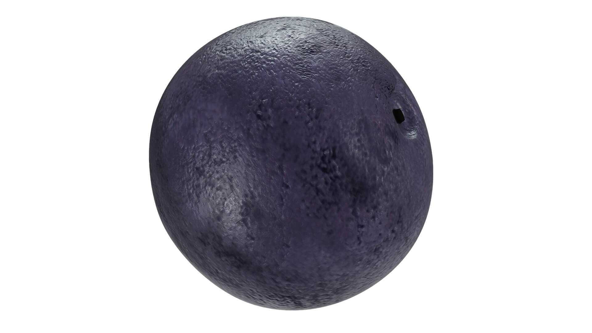 Blueberry 3D Model by Xandra Fox