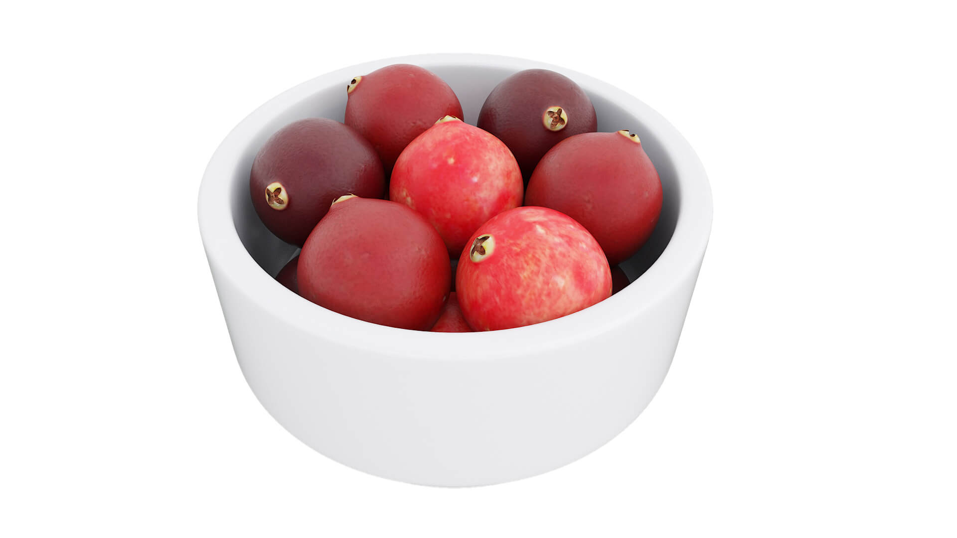Cranberry White Bowl - 3D Model by Xandra Fox