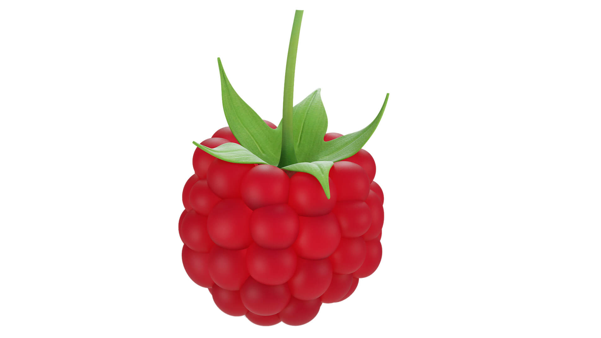 Raspberry 2 3D Model by Xandra Fox