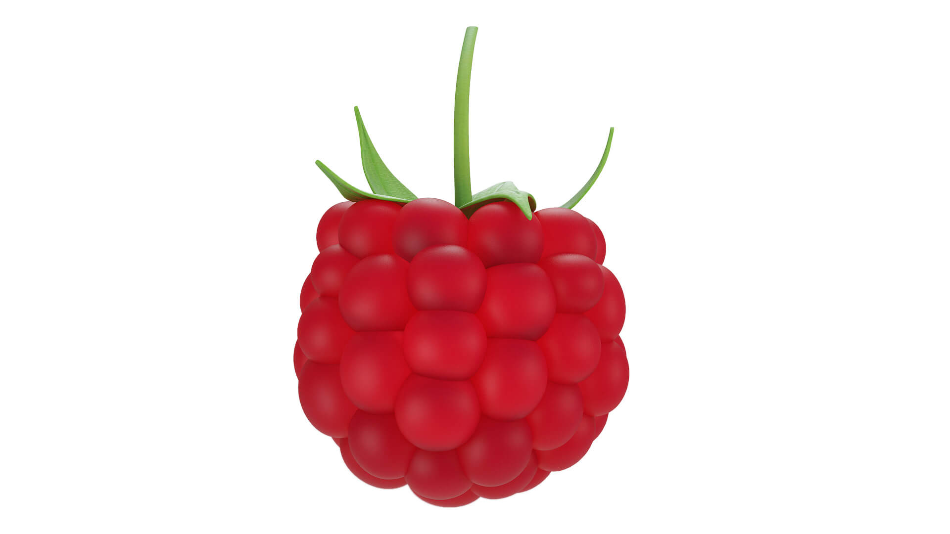 Raspberry 2 3D Model by Xandra Fox