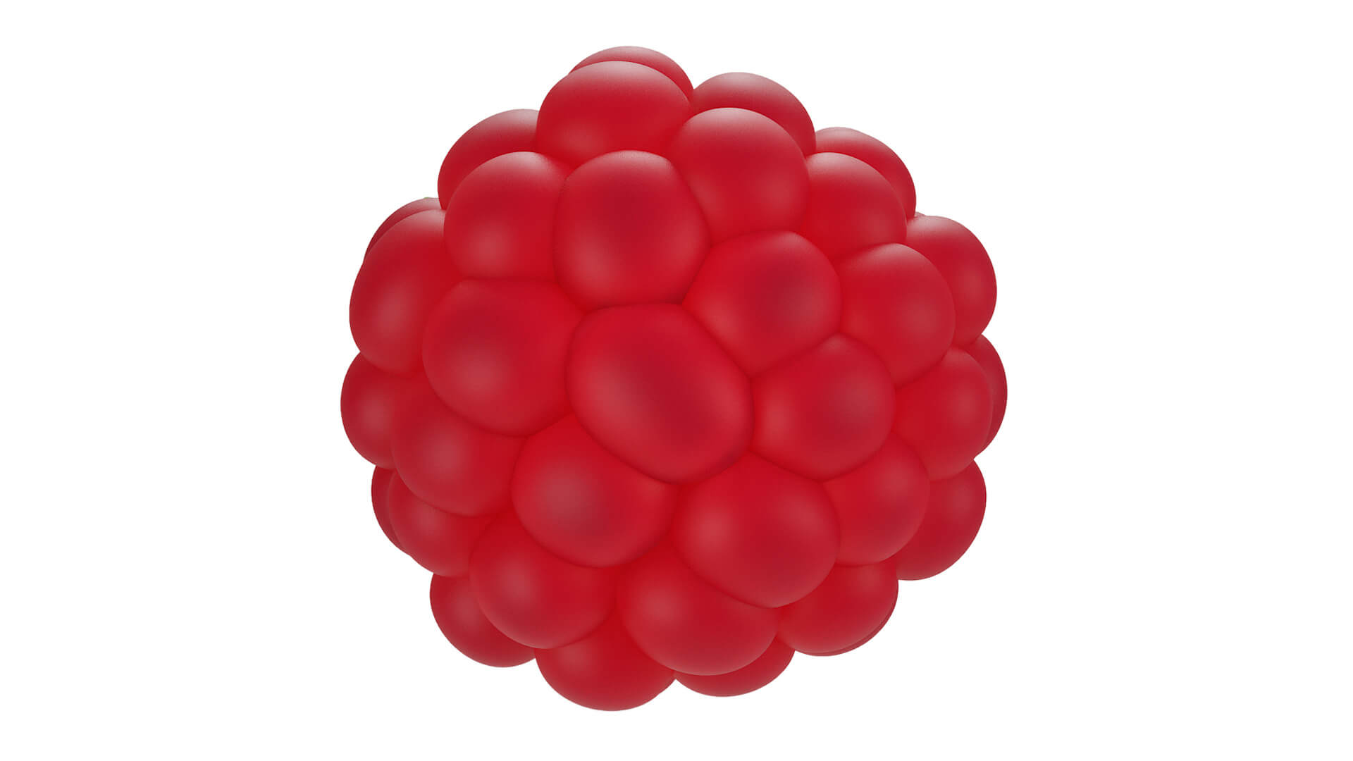 Raspberry 2 3D Model by Xandra Fox