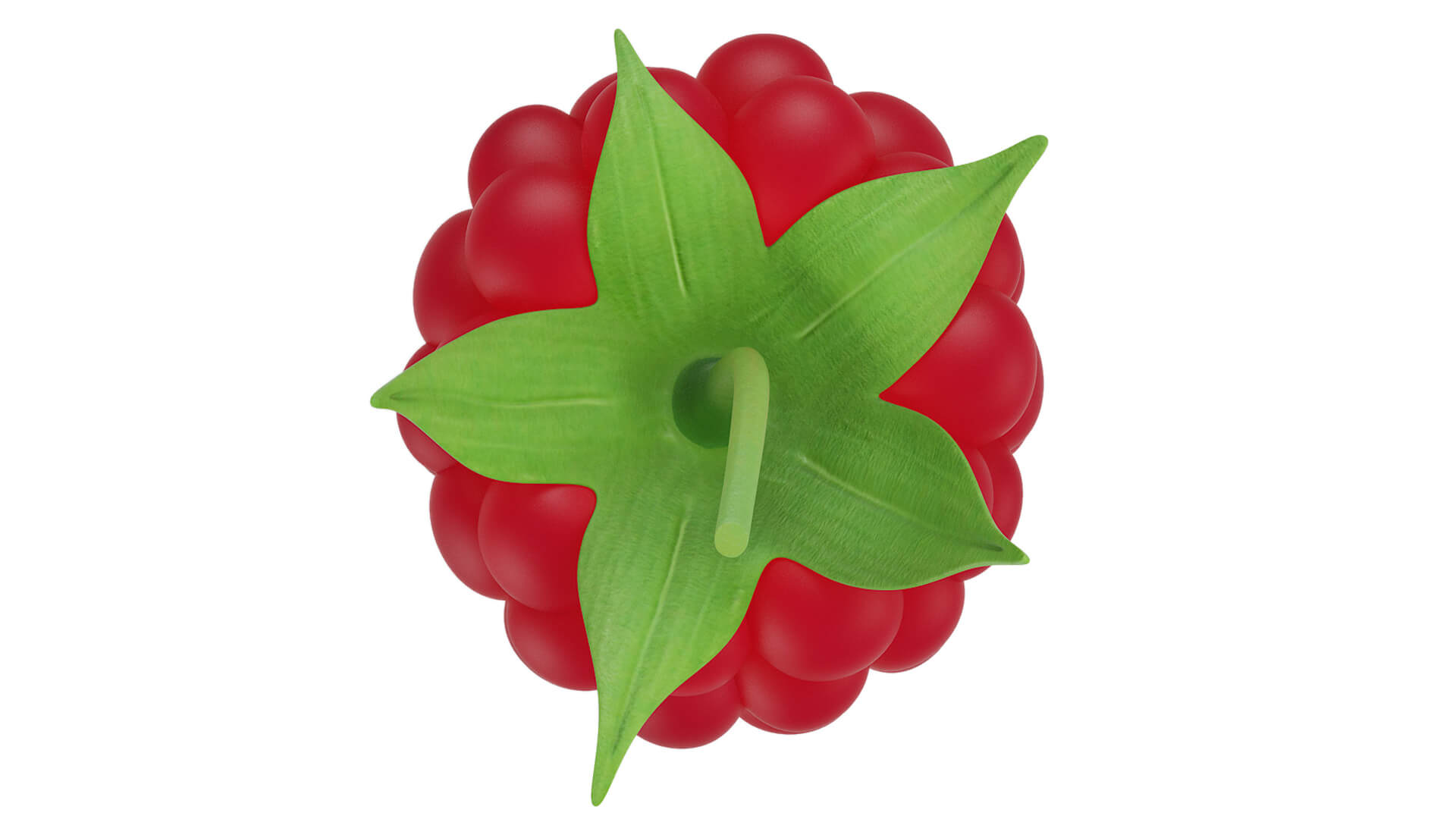 Raspberry 2 3D Model by Xandra Fox