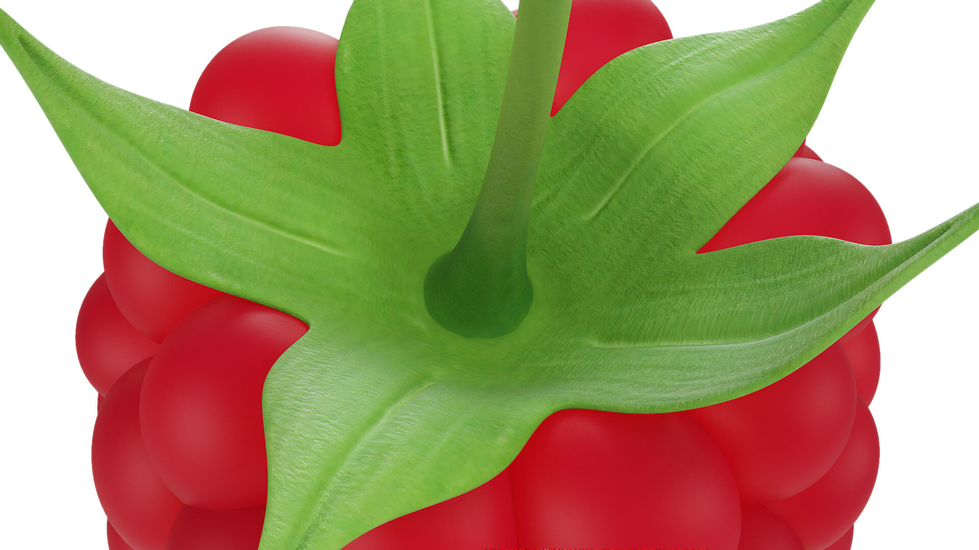 Raspberry 2 3D Model by Xandra Fox