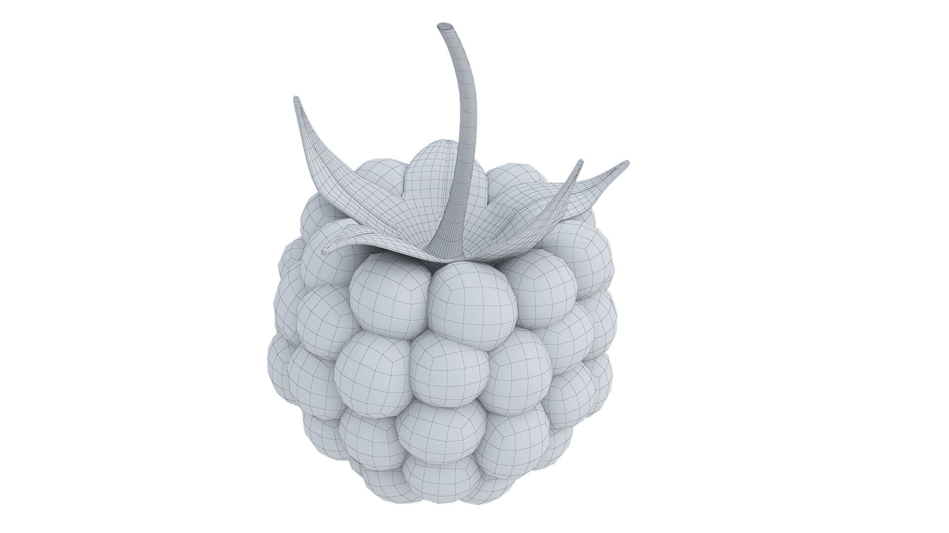 Raspberry 2 3D Model by Xandra Fox