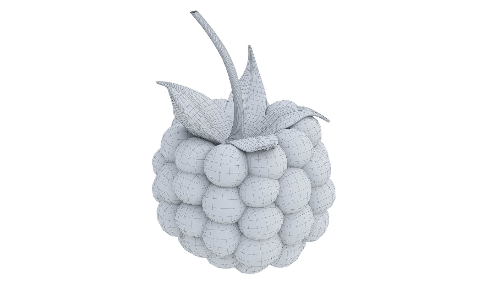 Raspberry 2 3D Model by Xandra Fox