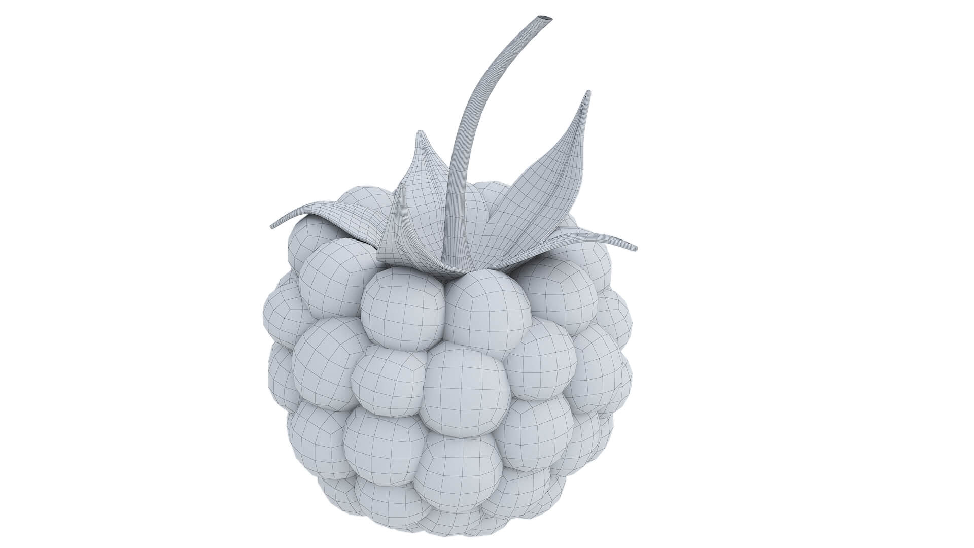 Raspberry 2 3D Model by Xandra Fox