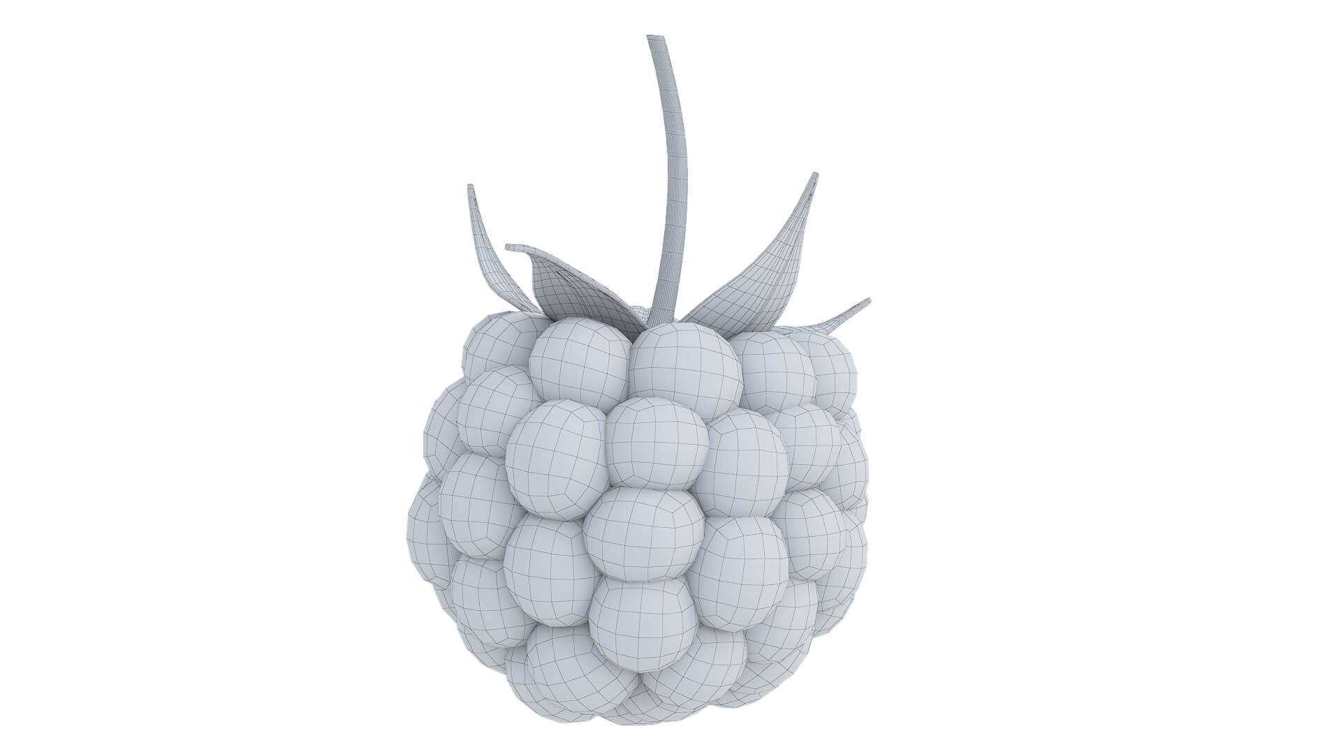 Raspberry 2 3D Model by Xandra Fox