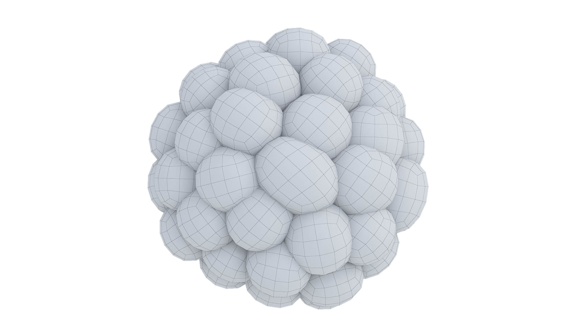 Raspberry 2 3D Model by Xandra Fox