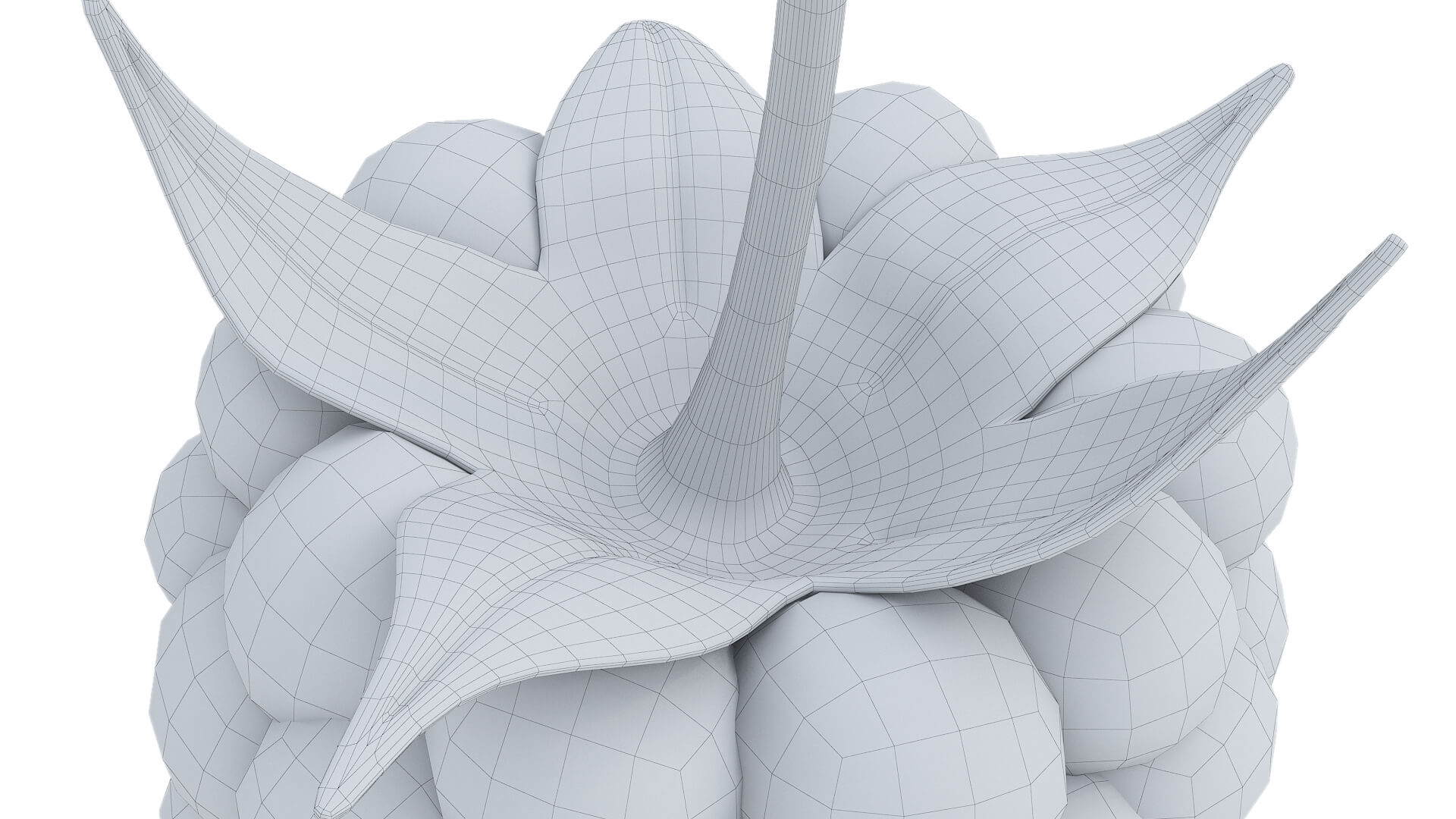 Raspberry 2 3D Model by Xandra Fox