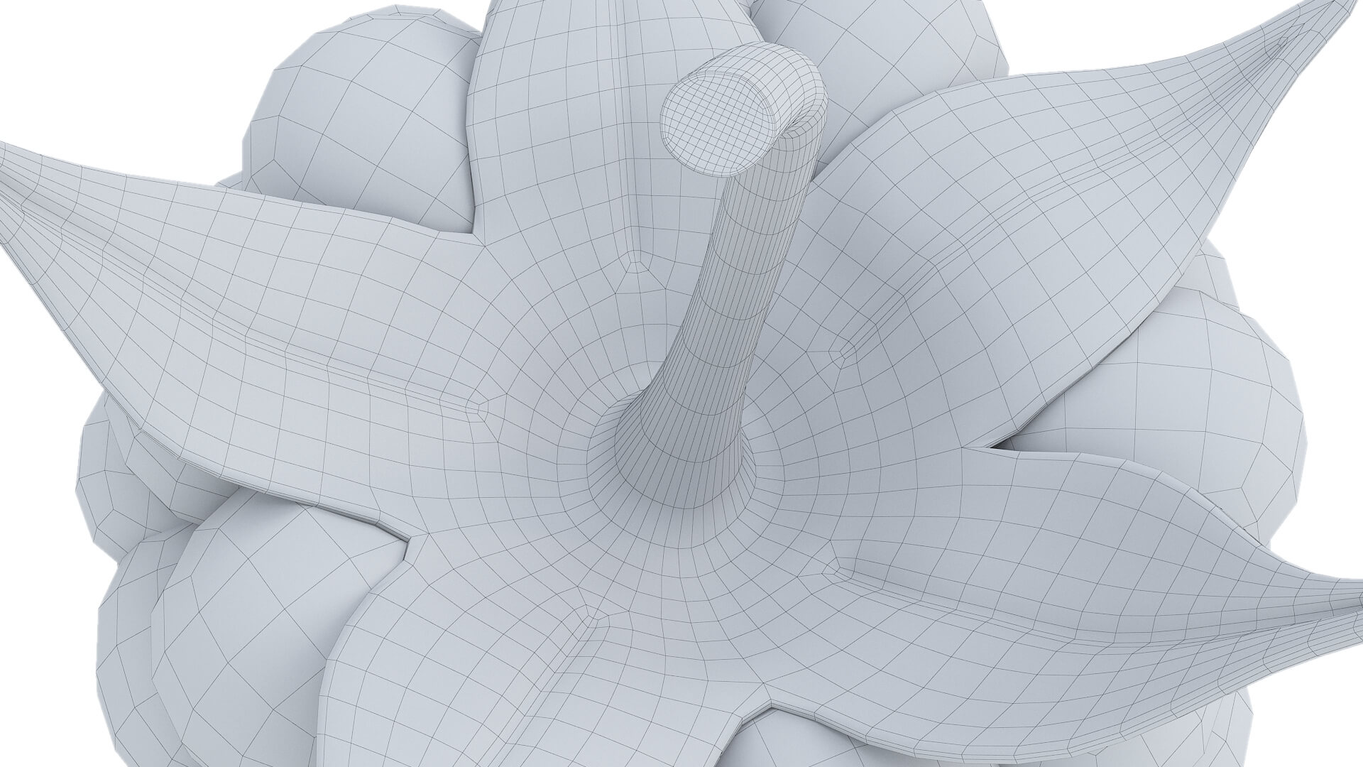 Raspberry 2 3D Model by Xandra Fox