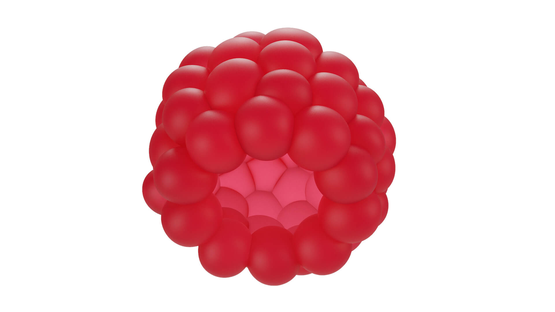 Raspberry 3D Model by Xandra Fox