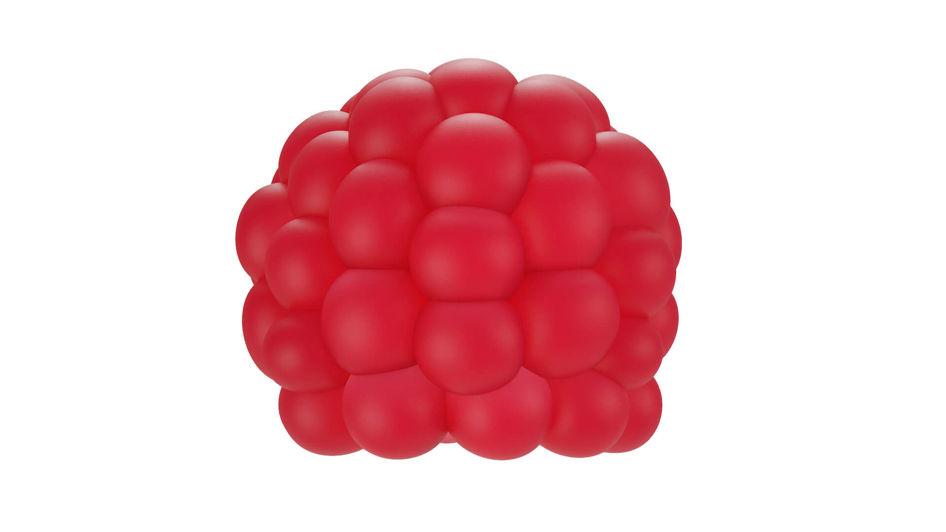 Raspberry 3D Model by Xandra Fox