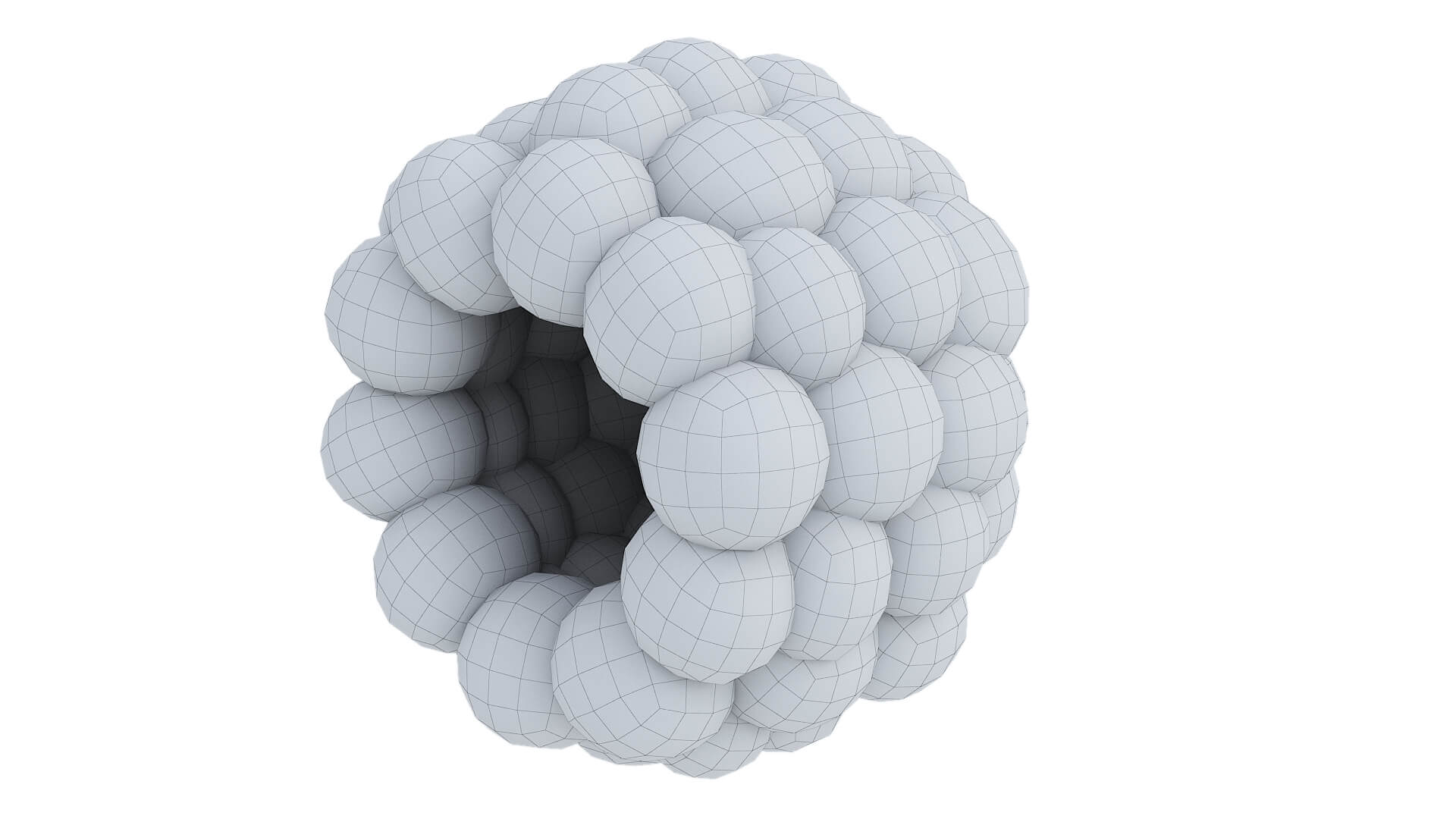 Raspberry 3D Model by Xandra Fox