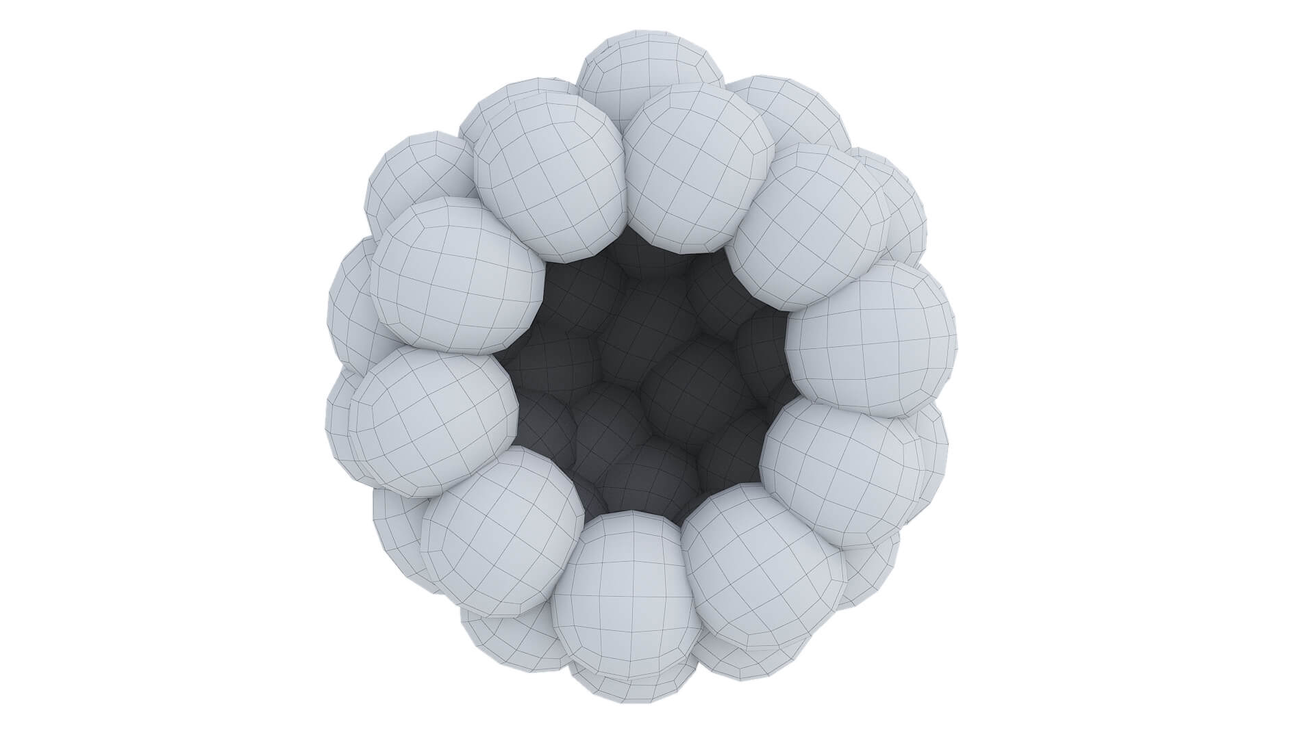 Raspberry 3D Model by Xandra Fox