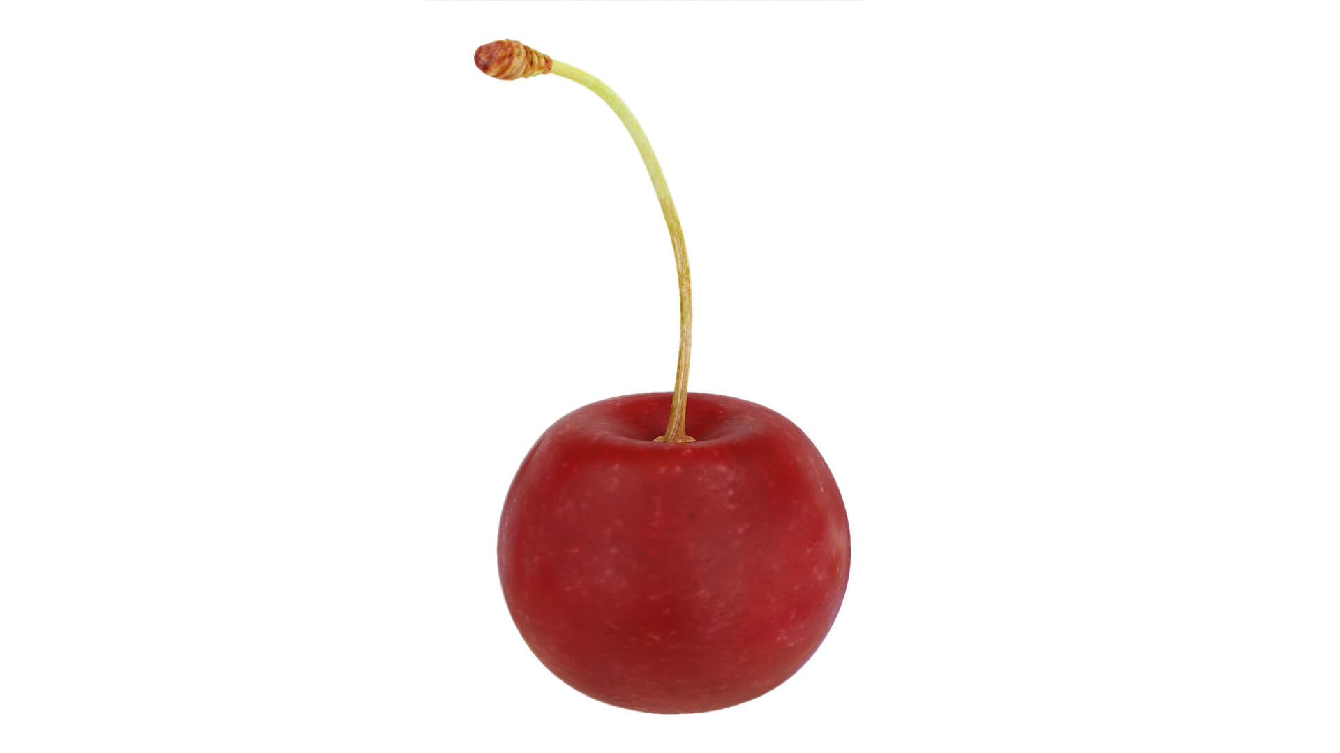 Red Cherry 3D Model by Xandra Fox