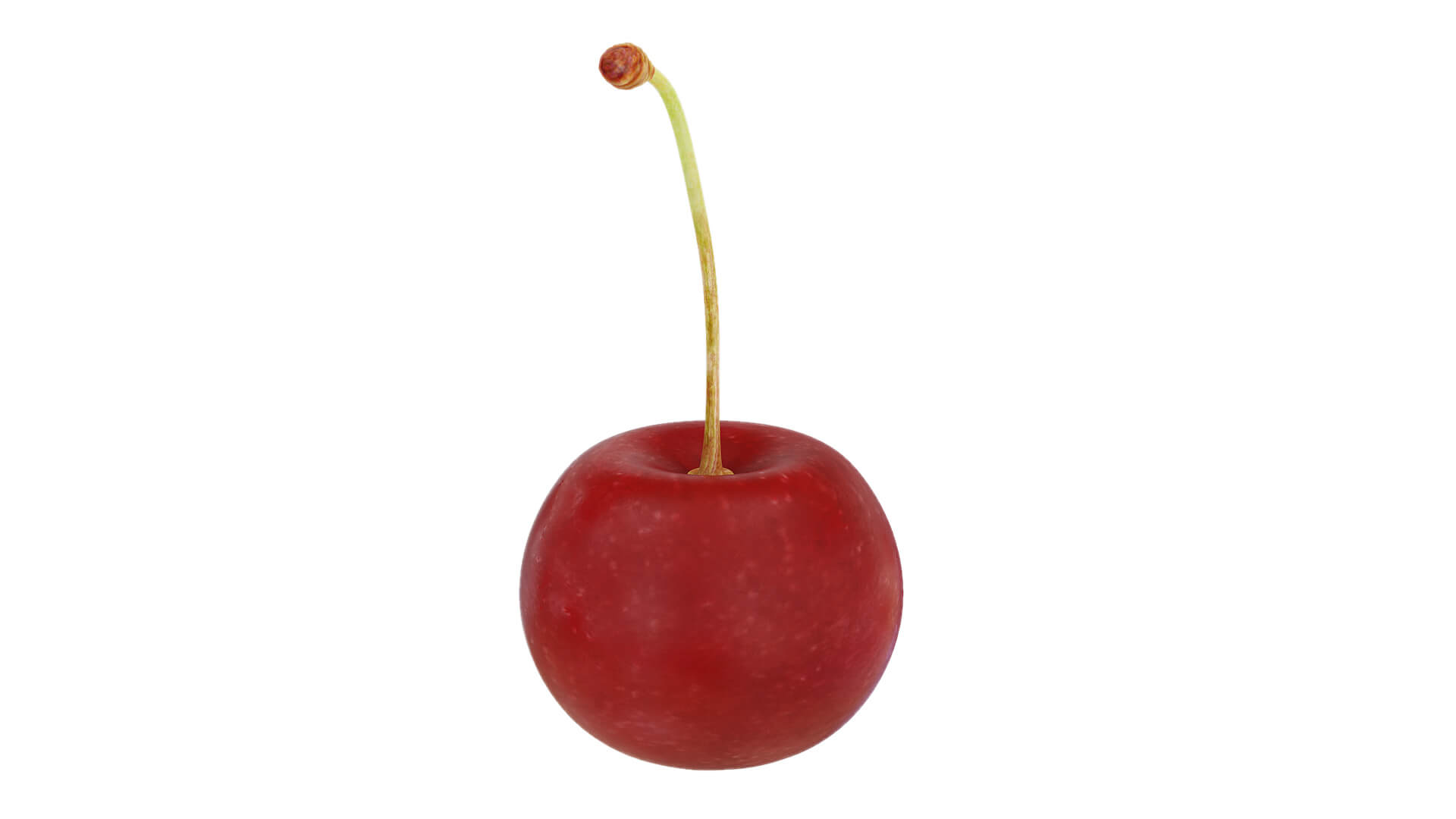 Red Cherry 3D Model by Xandra Fox