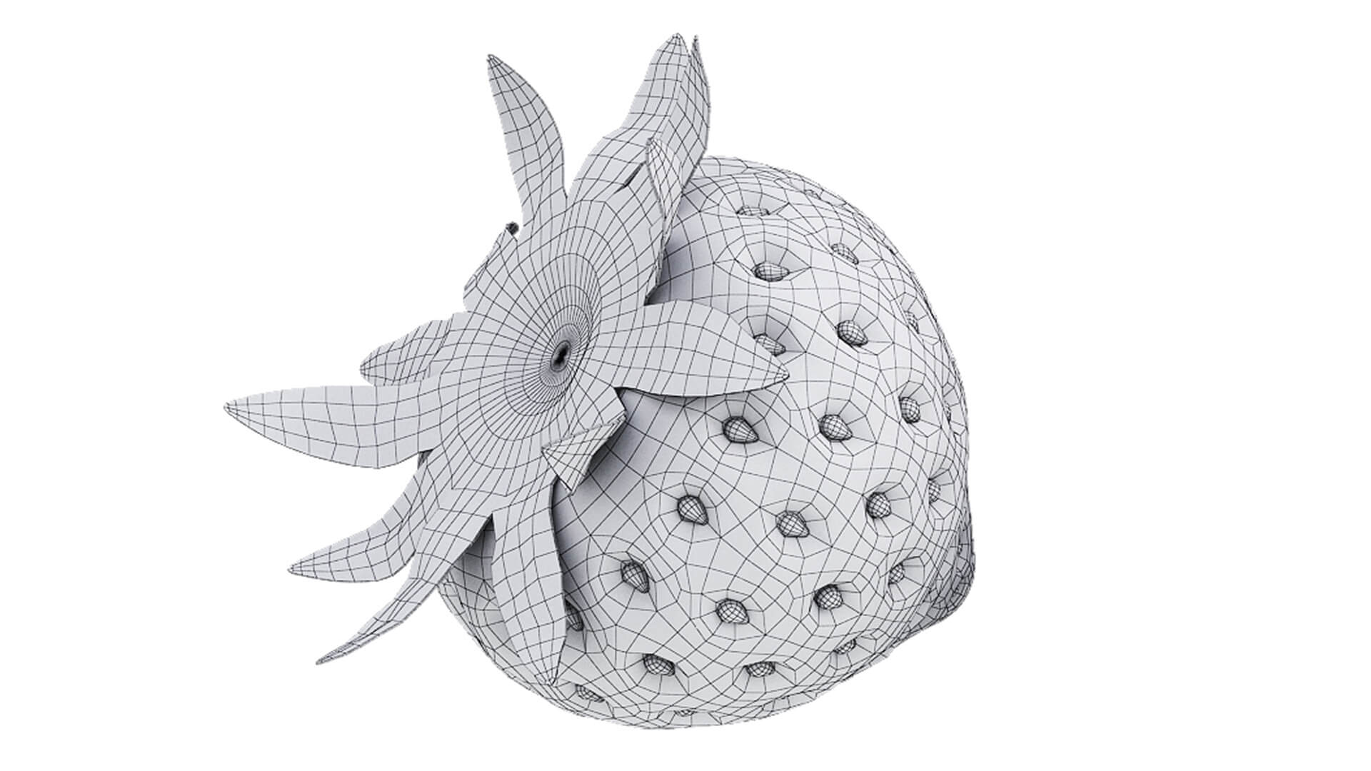 Strawberry Whole - 3D Model by Xandra Fox