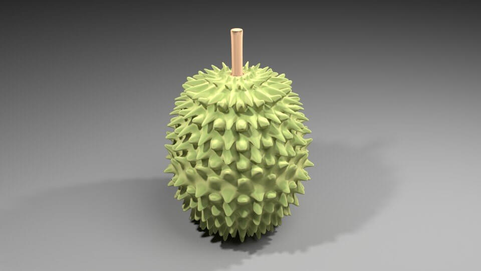 Fruit - Durian 3D Model by Xtreme Studio