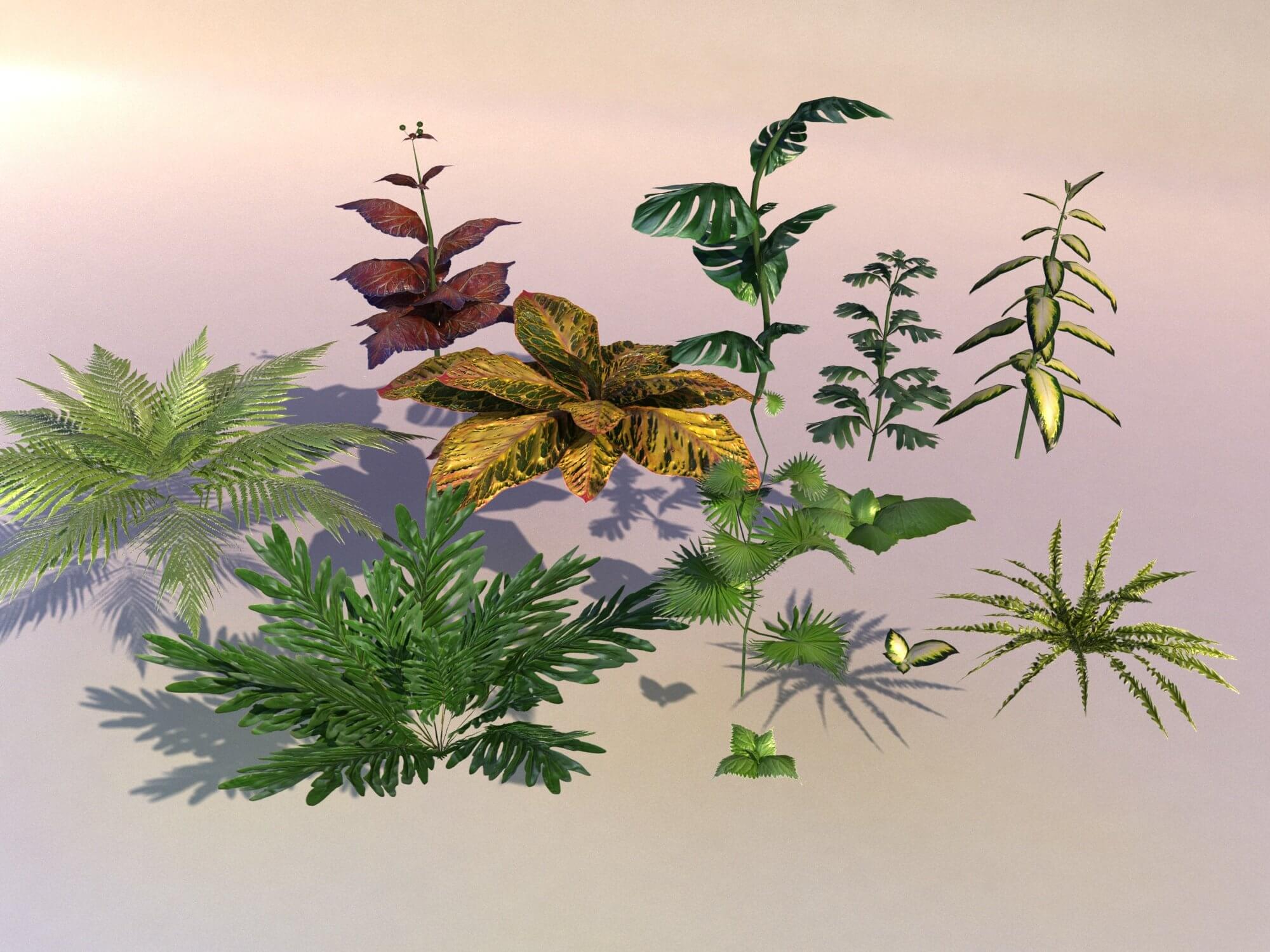 Set of Tropical Plants - 3D Model by Ybreibyf