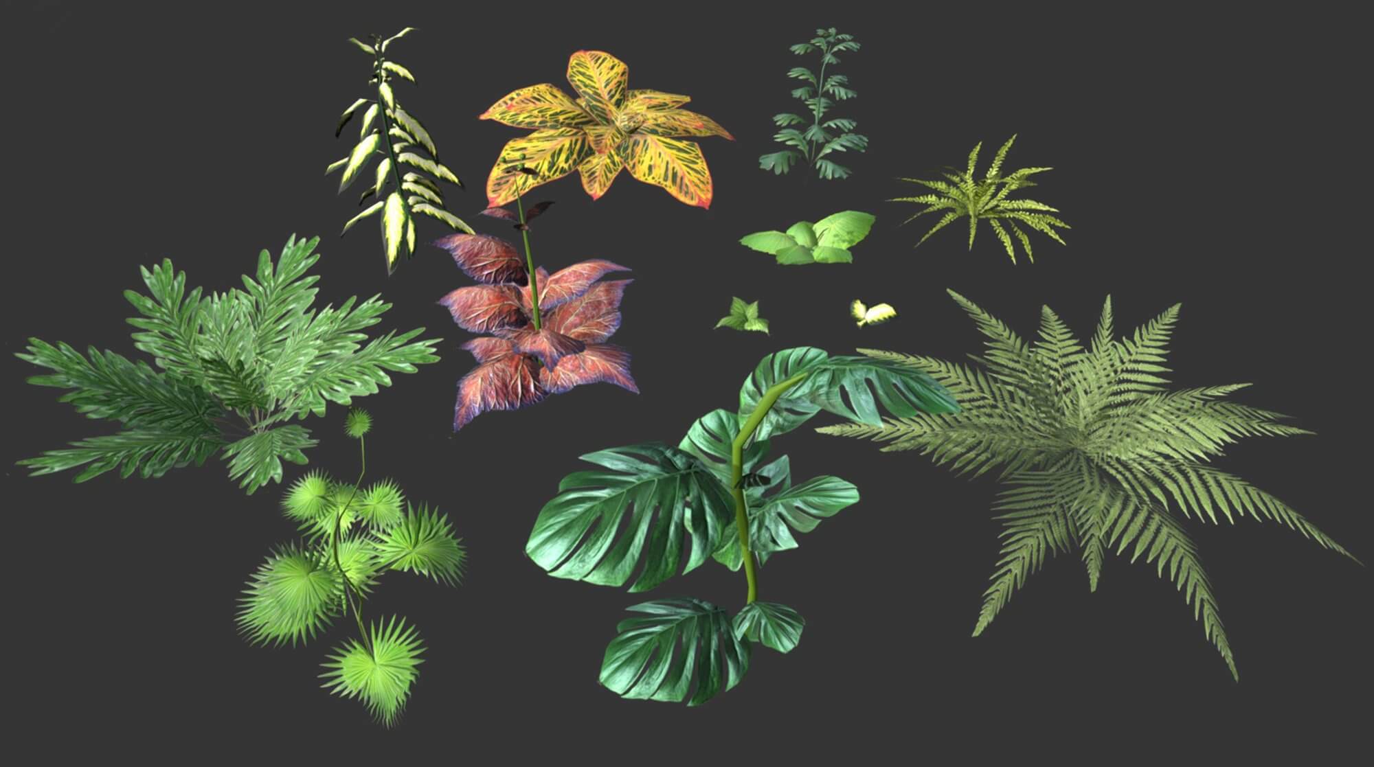 Set of Tropical Plants - 3D Model by Ybreibyf
