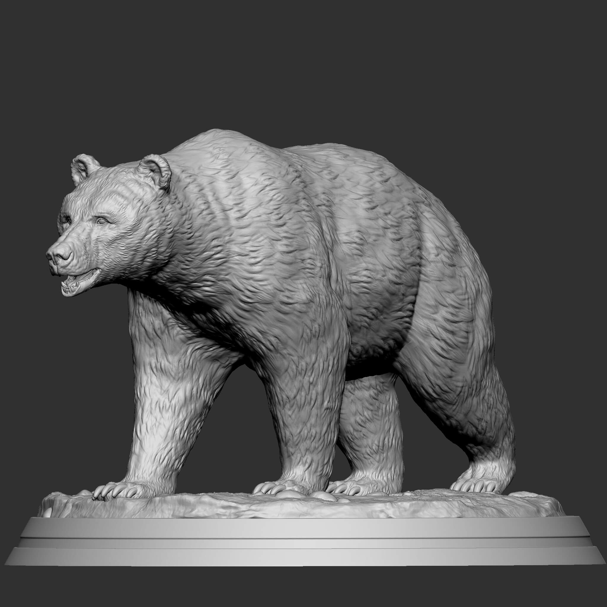 Bear 3D Print Model by ydstudio96