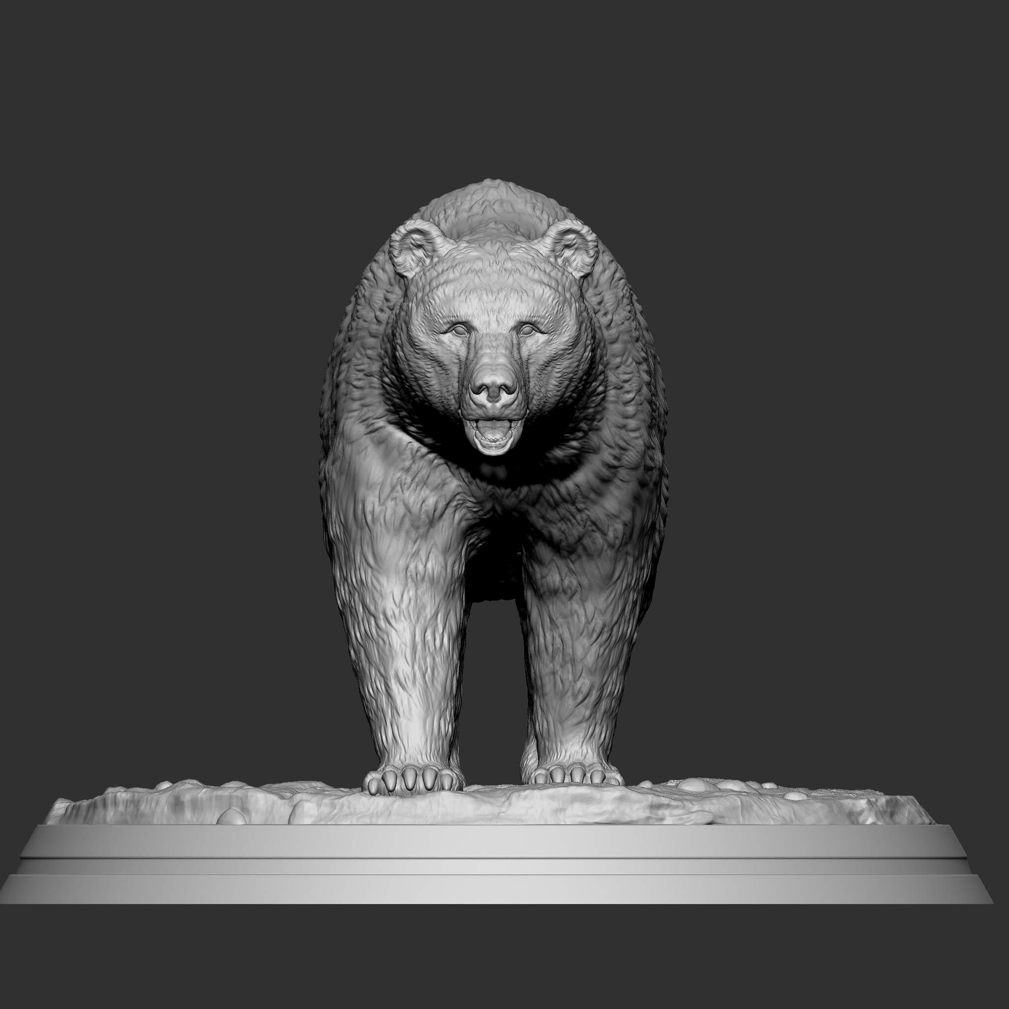 Bear 3D Print Model by ydstudio96