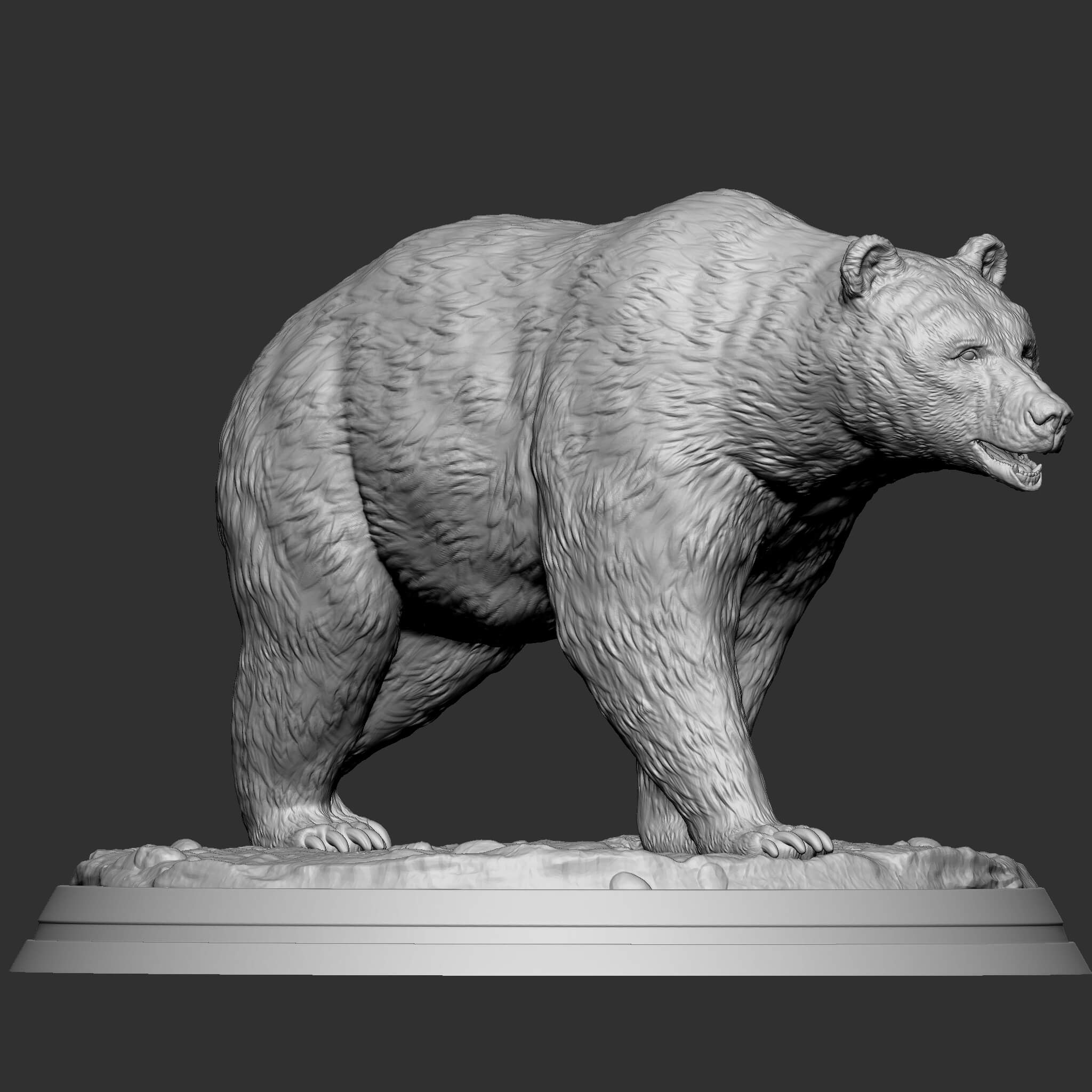 Bear 3D Print Model by ydstudio96