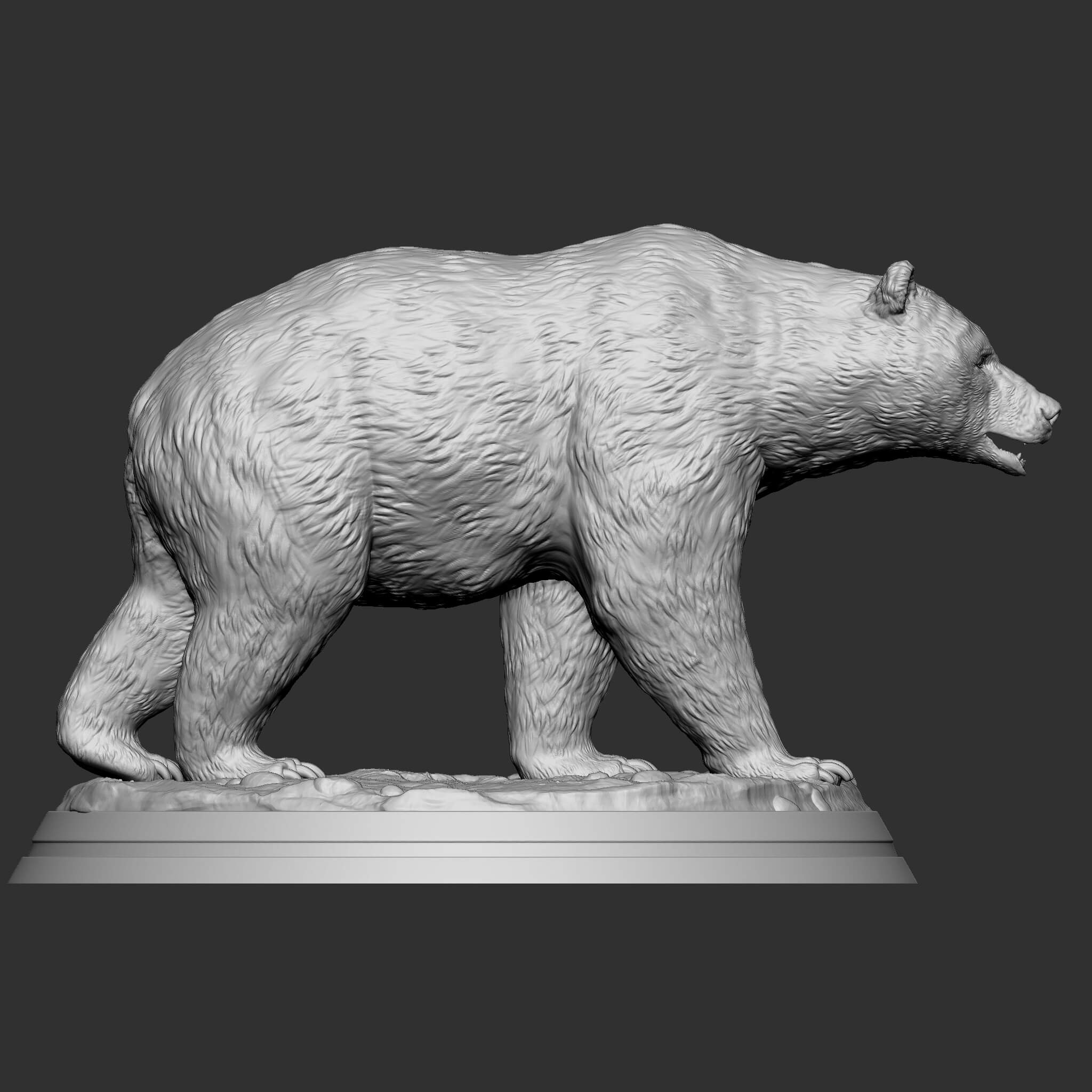 Bear 3D Print Model by ydstudio96