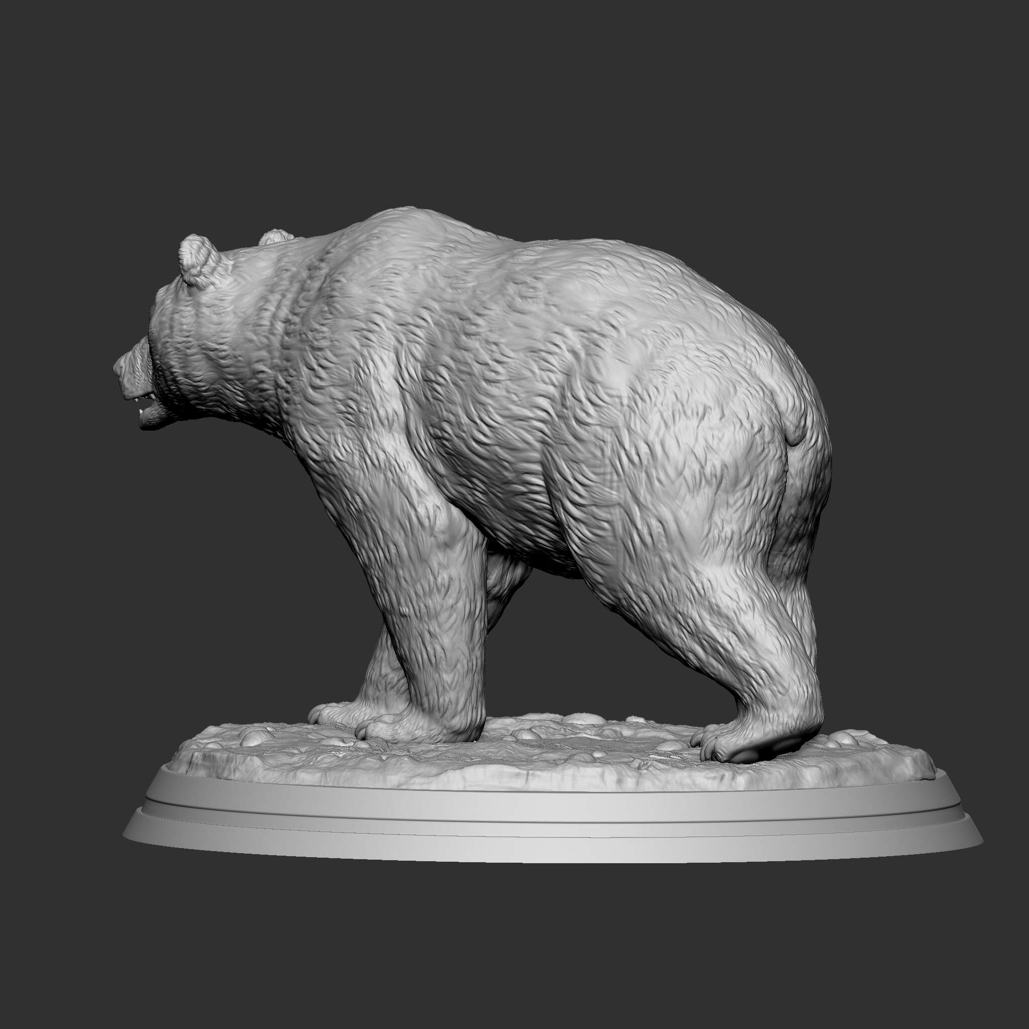 Bear 3D Print Model by ydstudio96