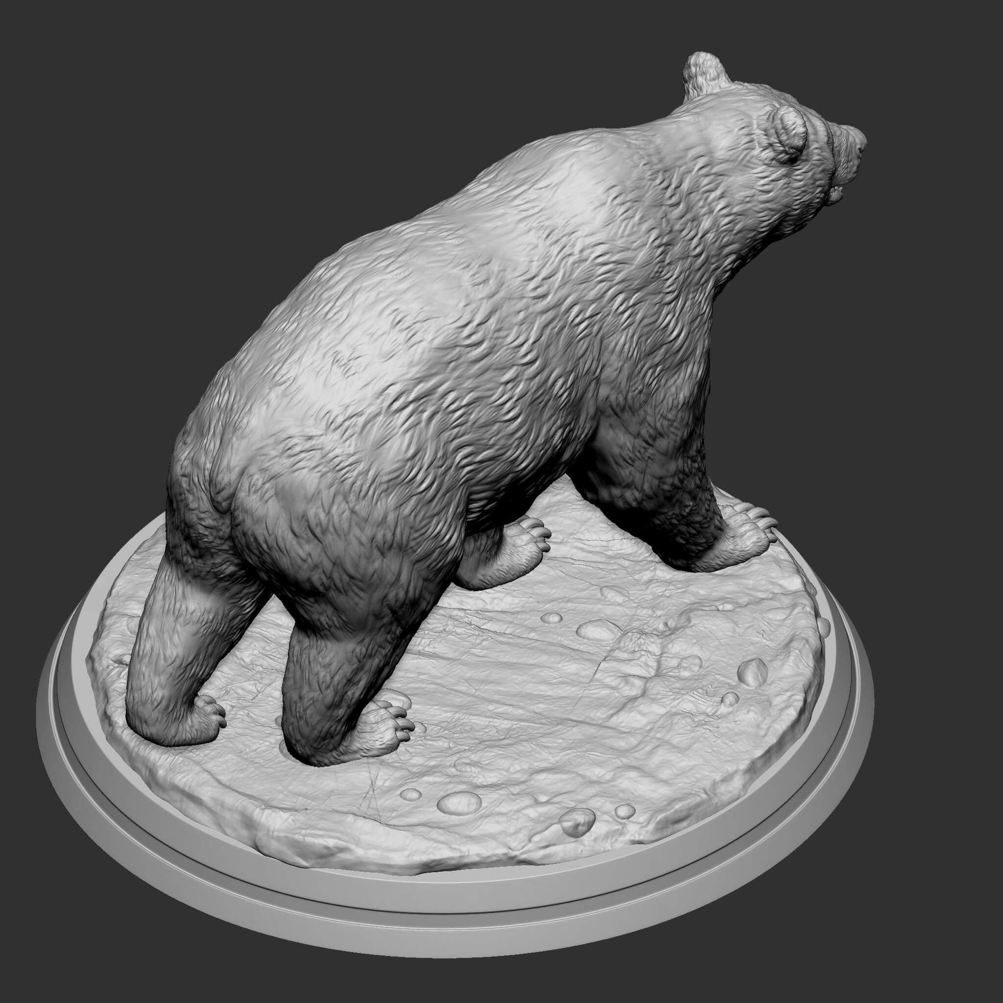 Bear 3D Print Model by ydstudio96