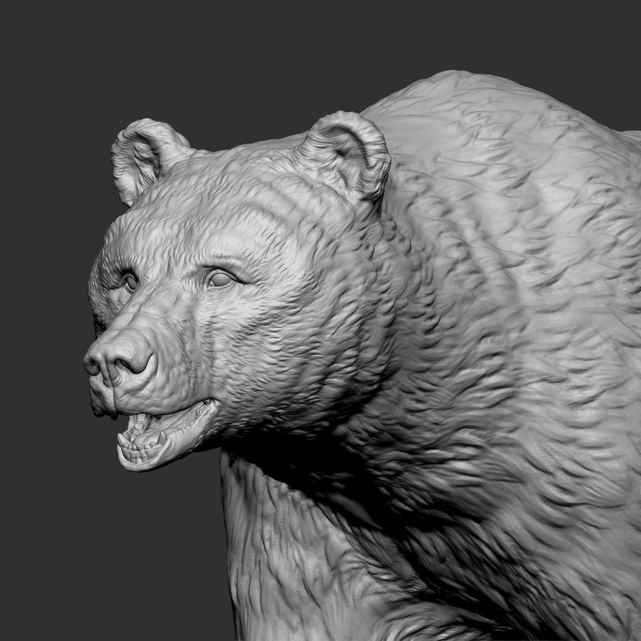 Bear 3D Print Model by ydstudio96