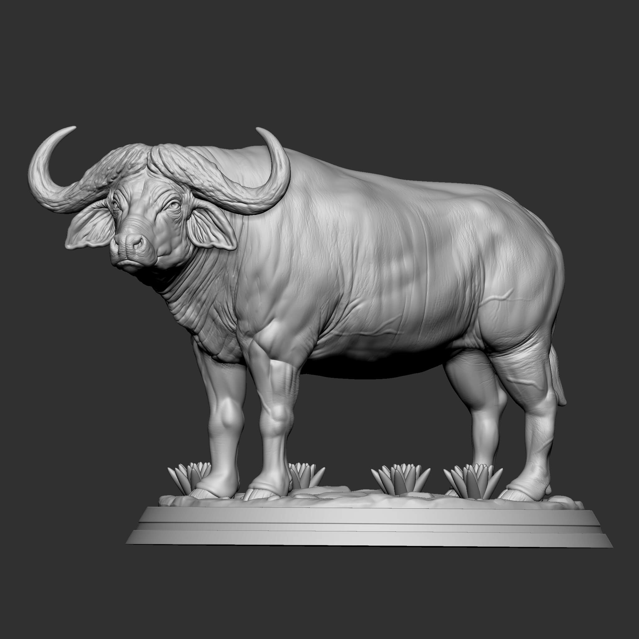 Cape Buffalo - 3D Model by ydstudio96