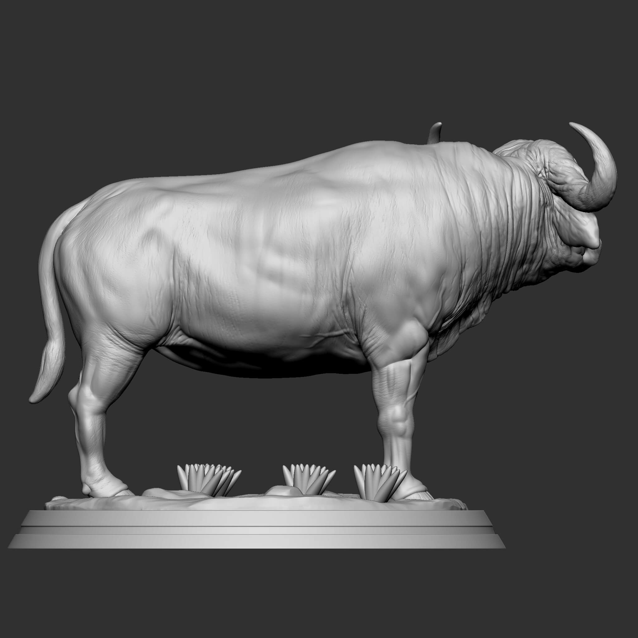 Cape Buffalo - 3D Print Model by ydstudio96