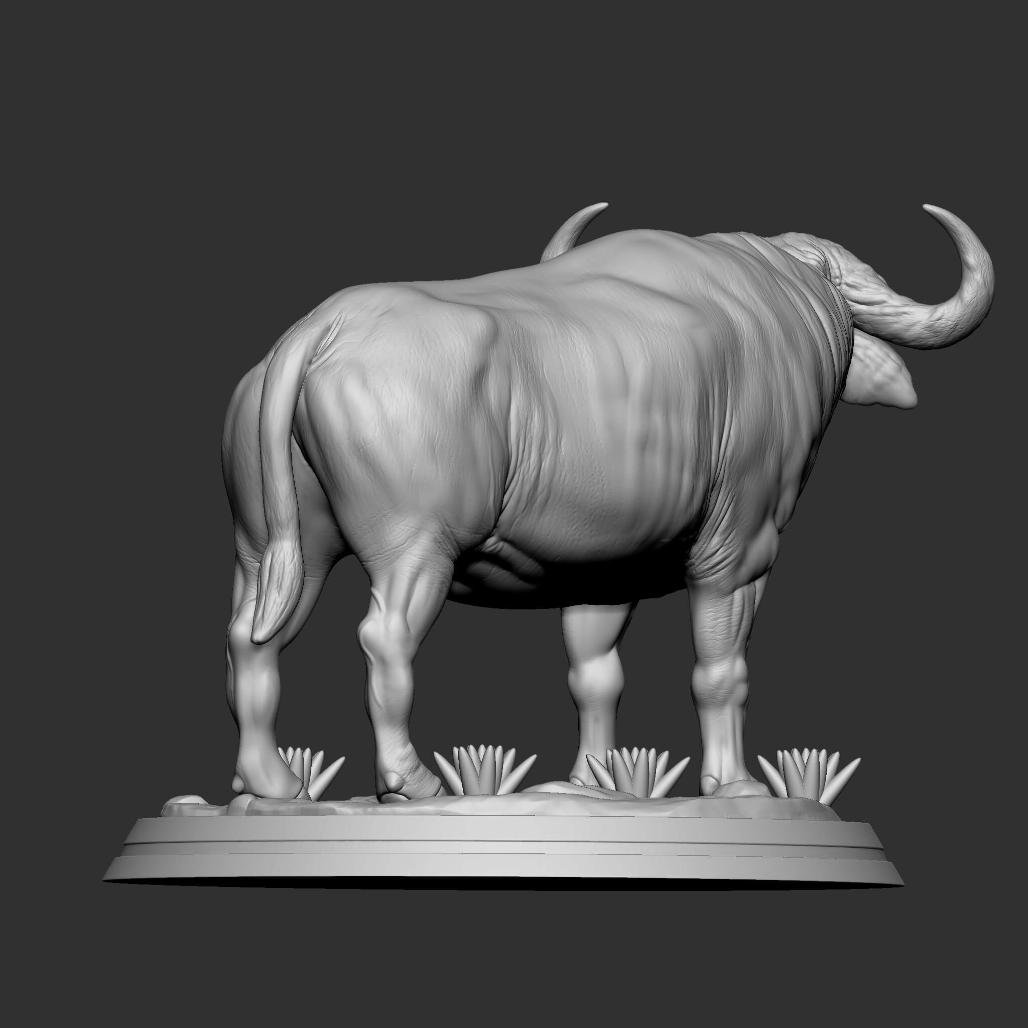 Cape Buffalo - 3D Print Model by ydstudio96