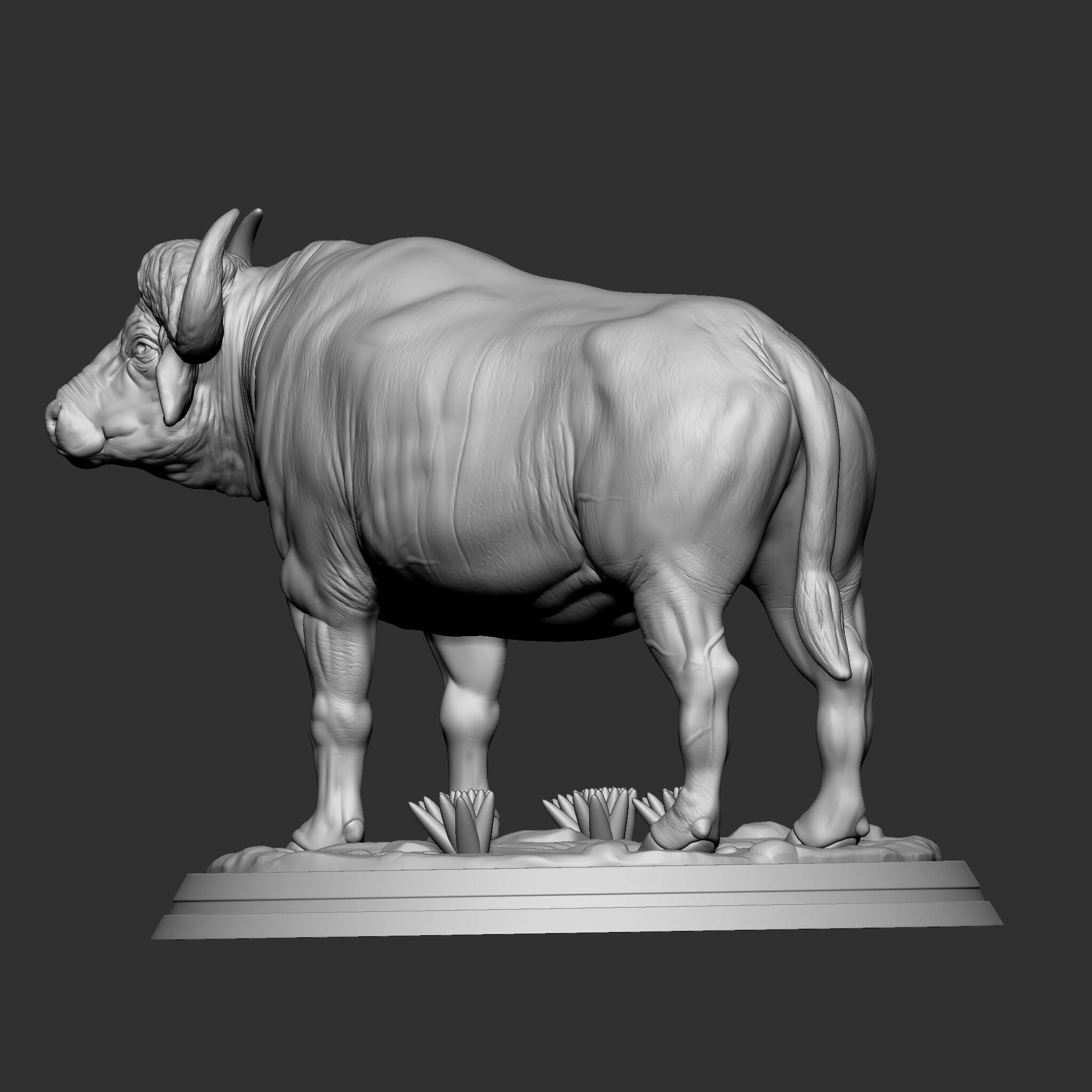 Cape Buffalo - 3D Model by ydstudio96