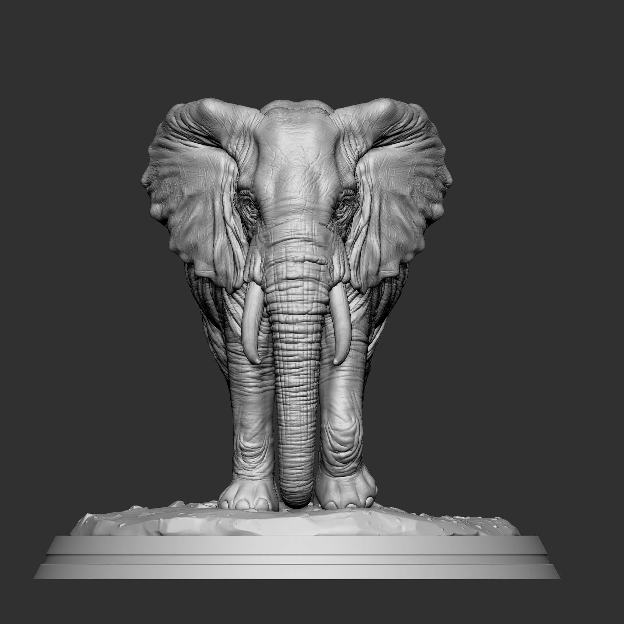 Elephant 3D Print Model by ydstudio96