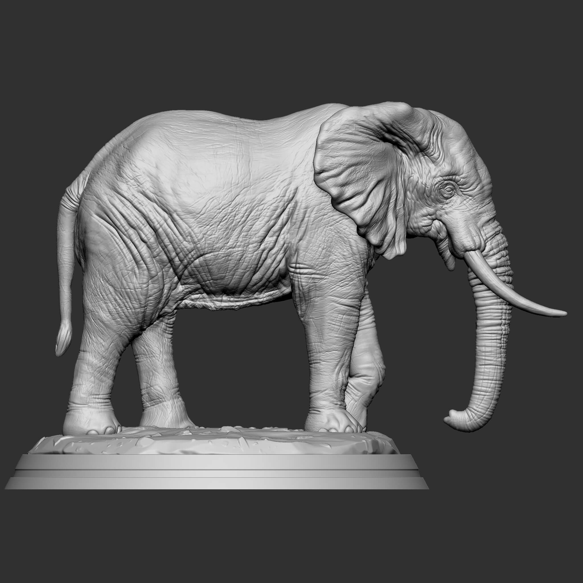 Elephant 3D Print Model by ydstudio96