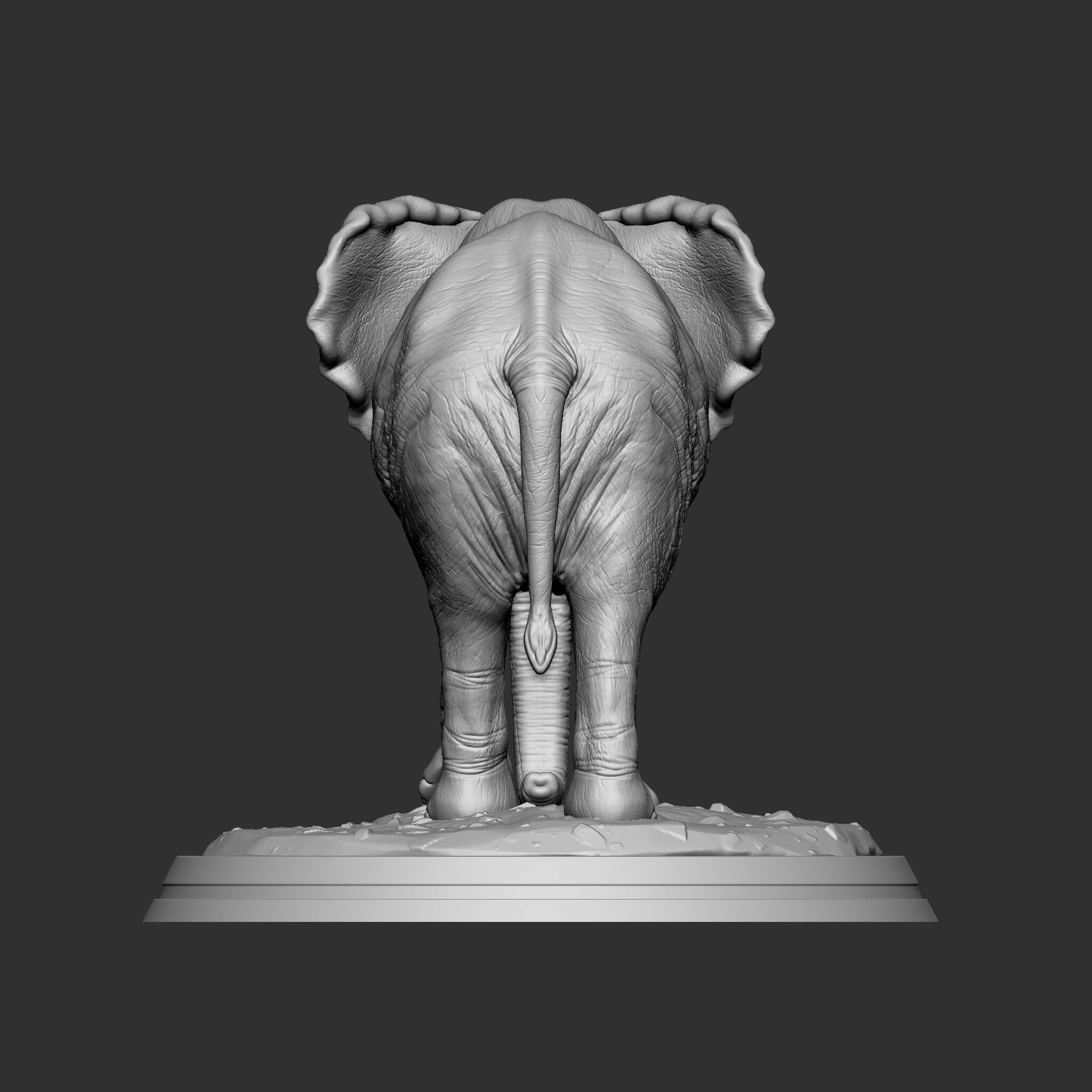 Elephant 3D Print Model by ydstudio96
