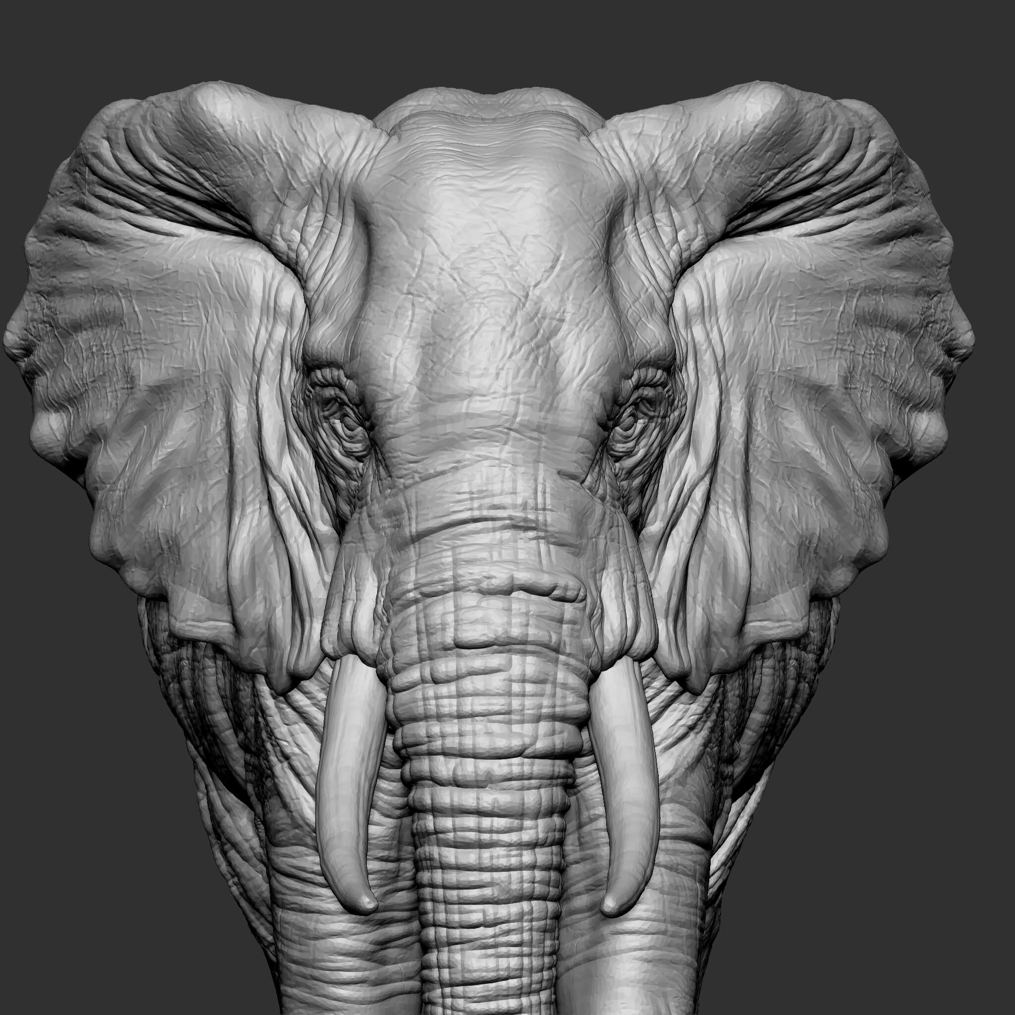 Elephant 3D Print Model by ydstudio96