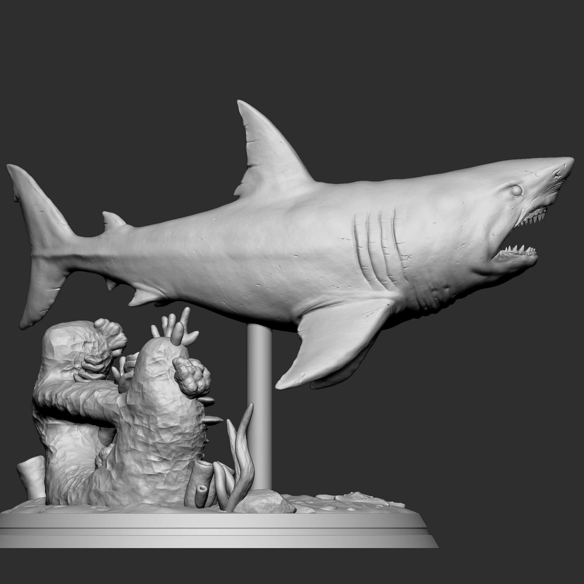 Great White Shark 3D Print Model by ydstudio96